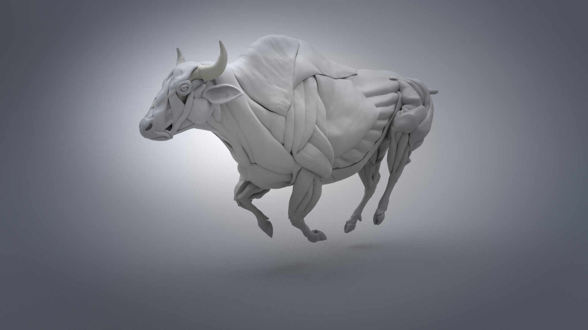 Nicolas MOREL - Bison Study n°2 : Ziva Muscles Simulation