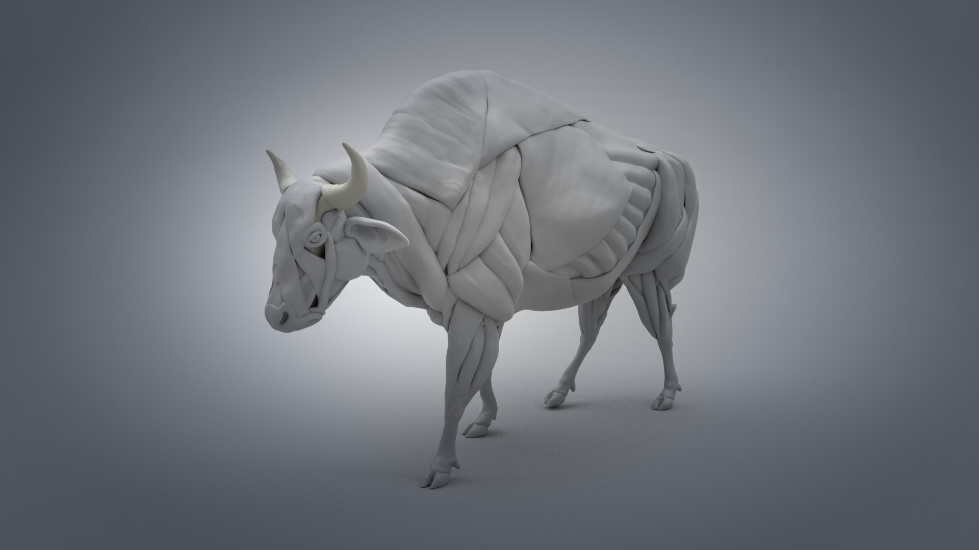 Nicolas MOREL - Bison Study n°2 : Ziva Muscles Simulation