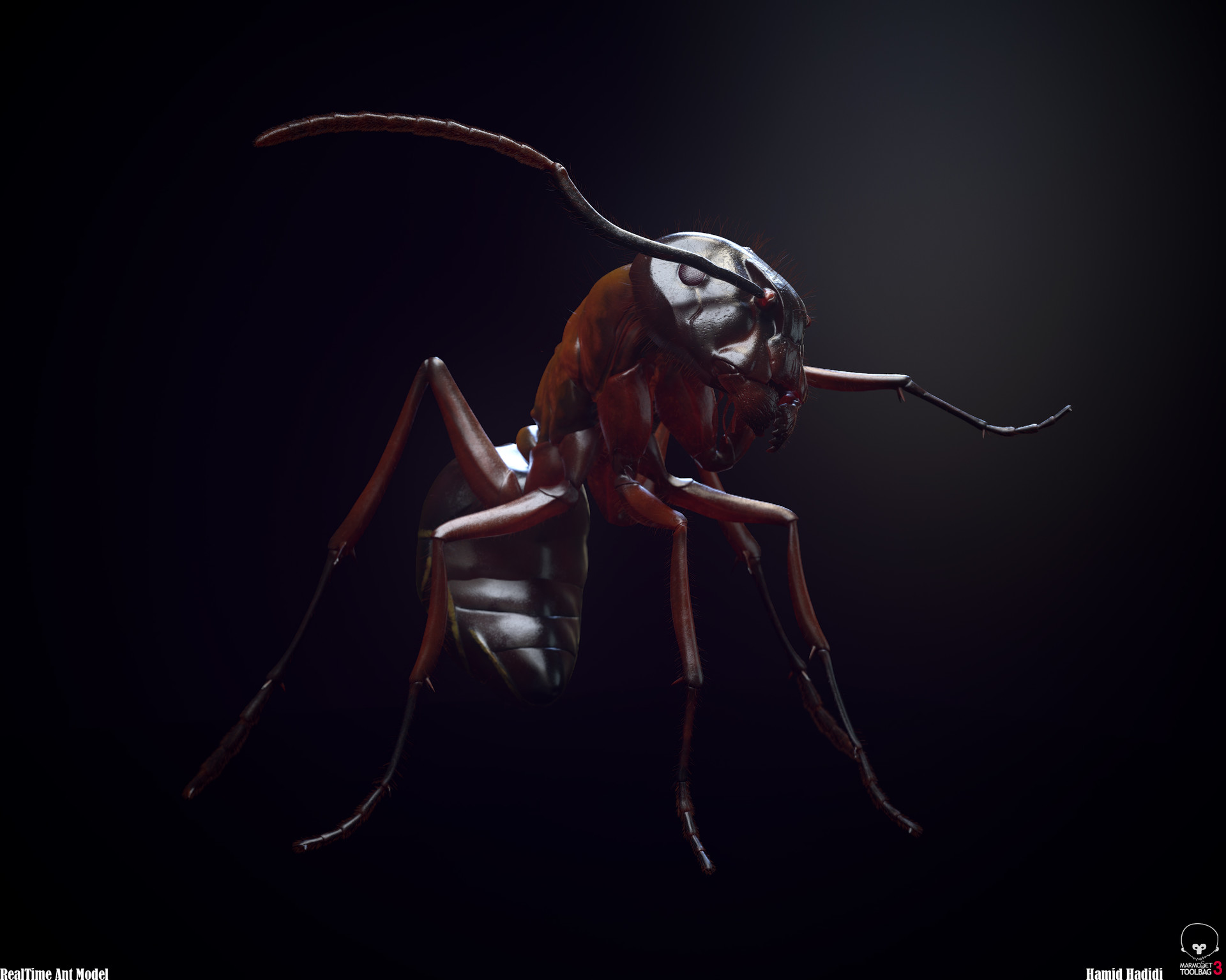 ArtStation - Ant