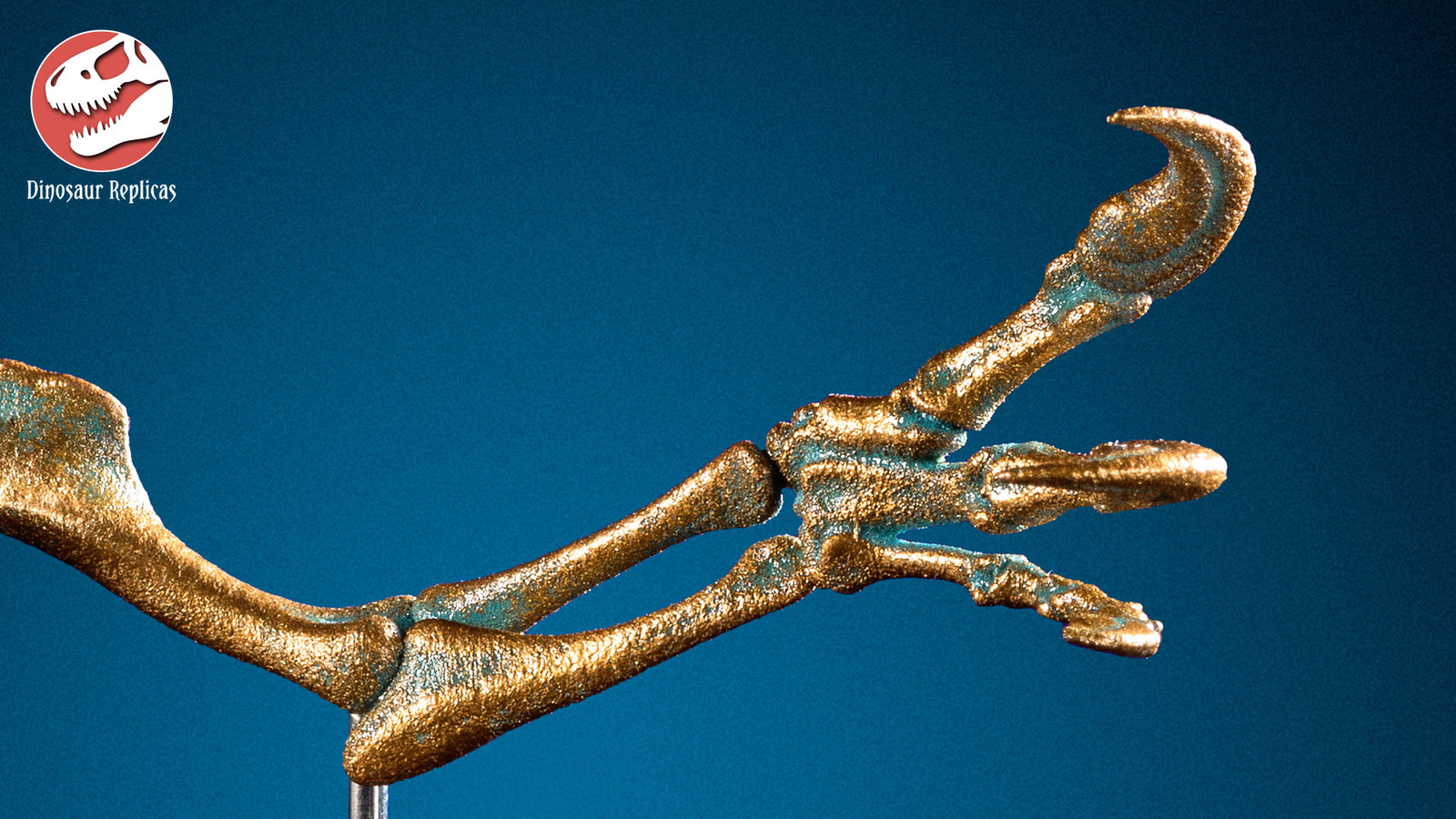 DinoReplicas - 3D Model Works - Dinosaur 3D printed arm bones - Allosaurus