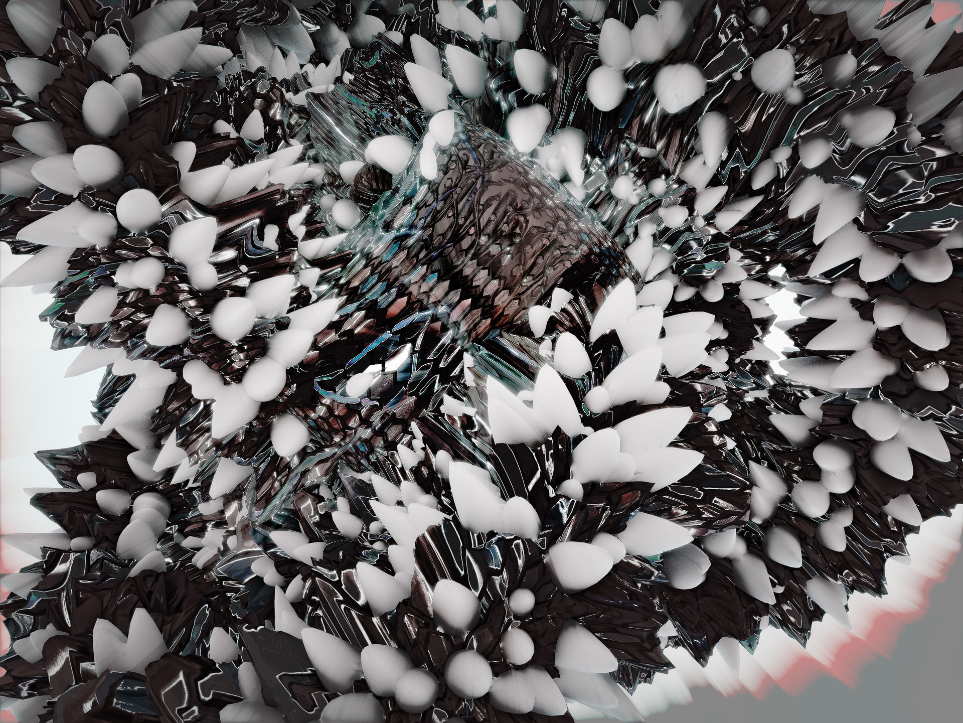 jamie robertson - barnacles 3