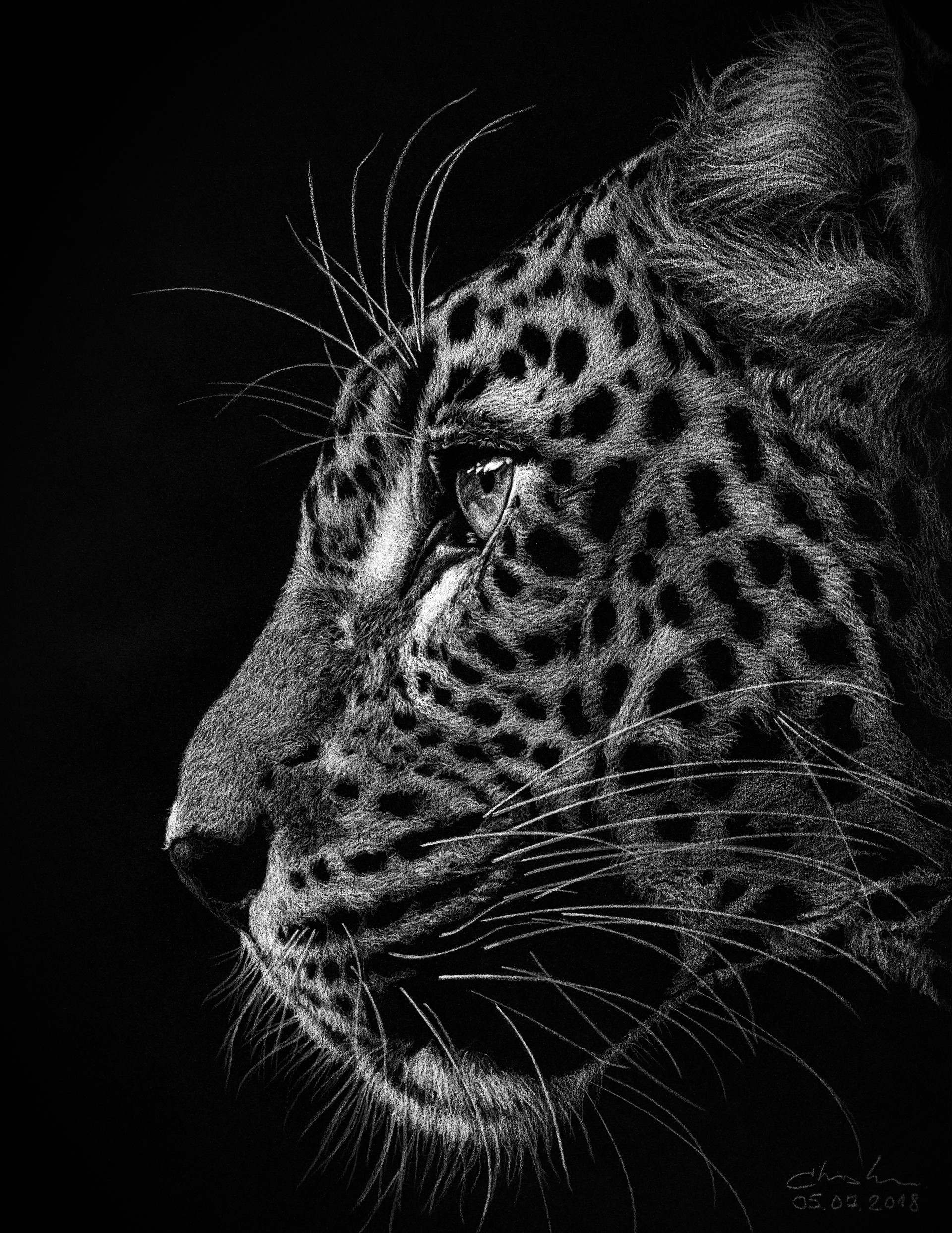 ArtStation - LEOPARD