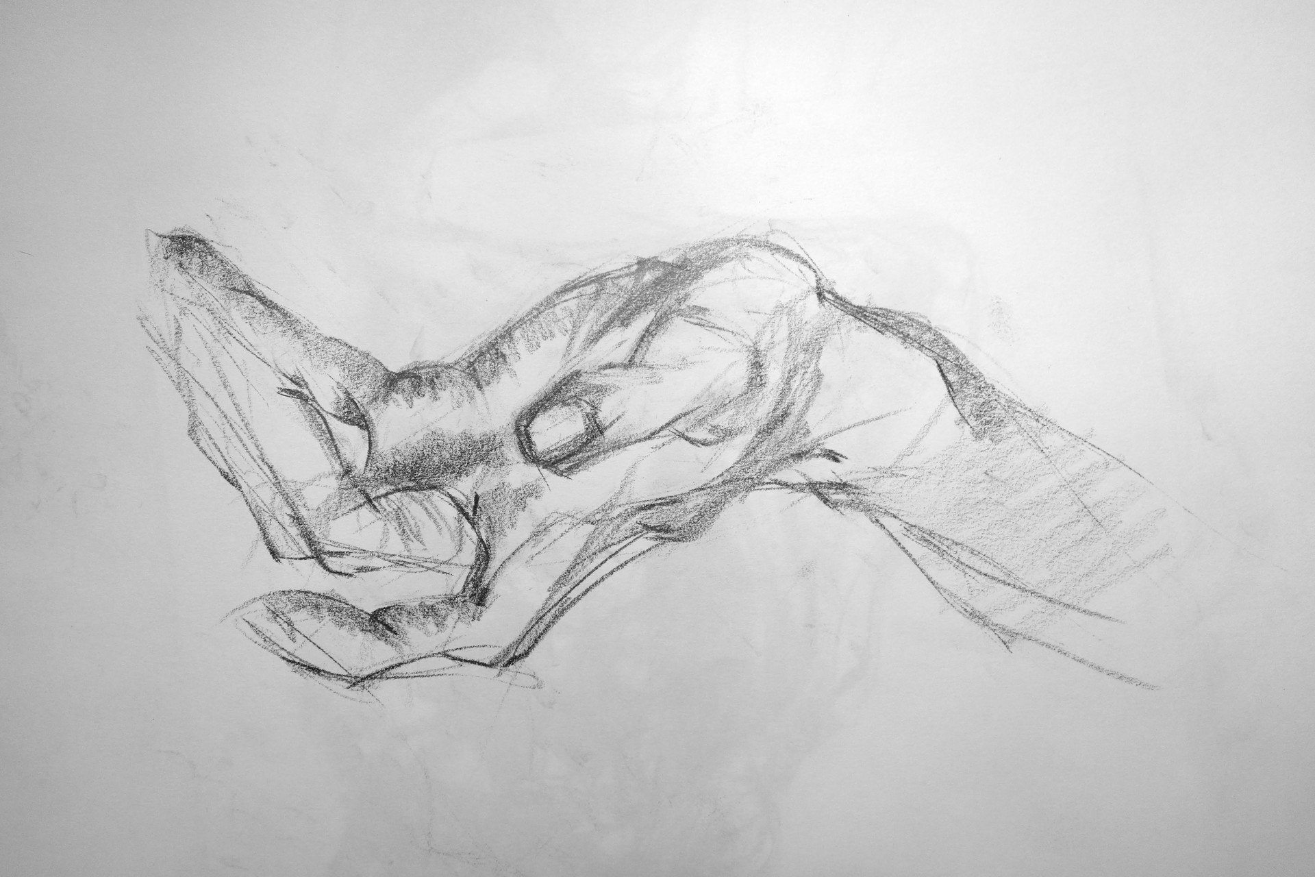 ArtStation - Hand gesture