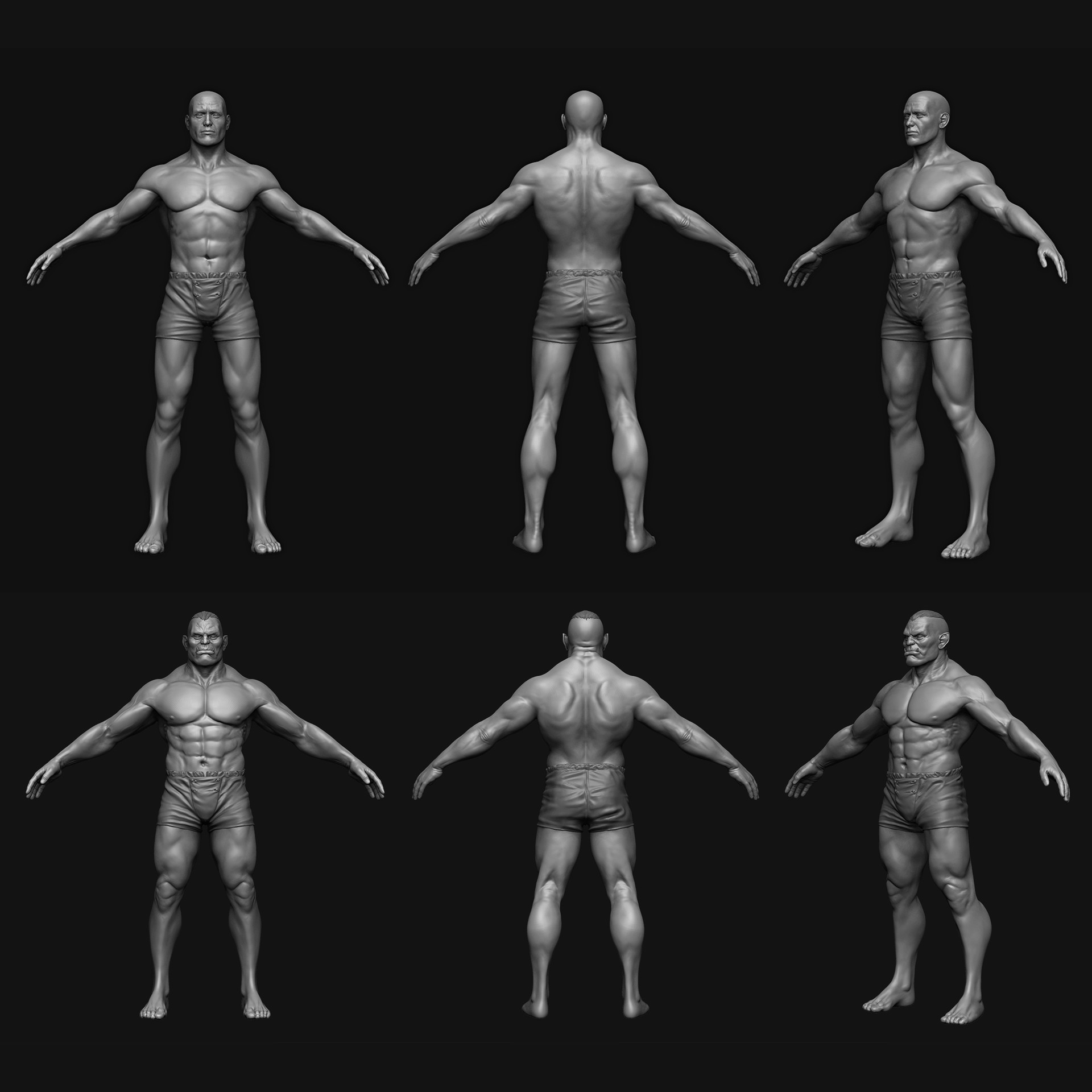 ArtStation - Dungeon and Dragon Characters Anatomy