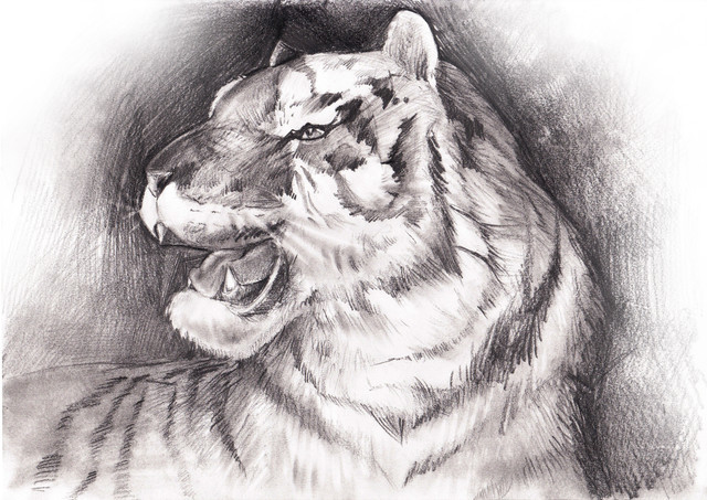 ArtStation - Hand-Paint_Tiger