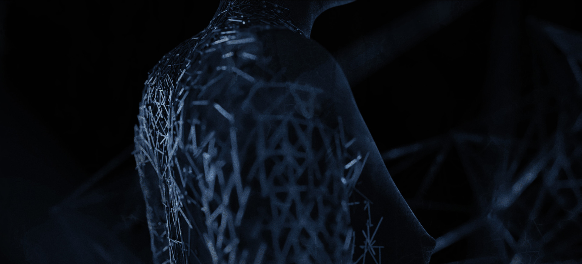 Tim Kaminski - Transition