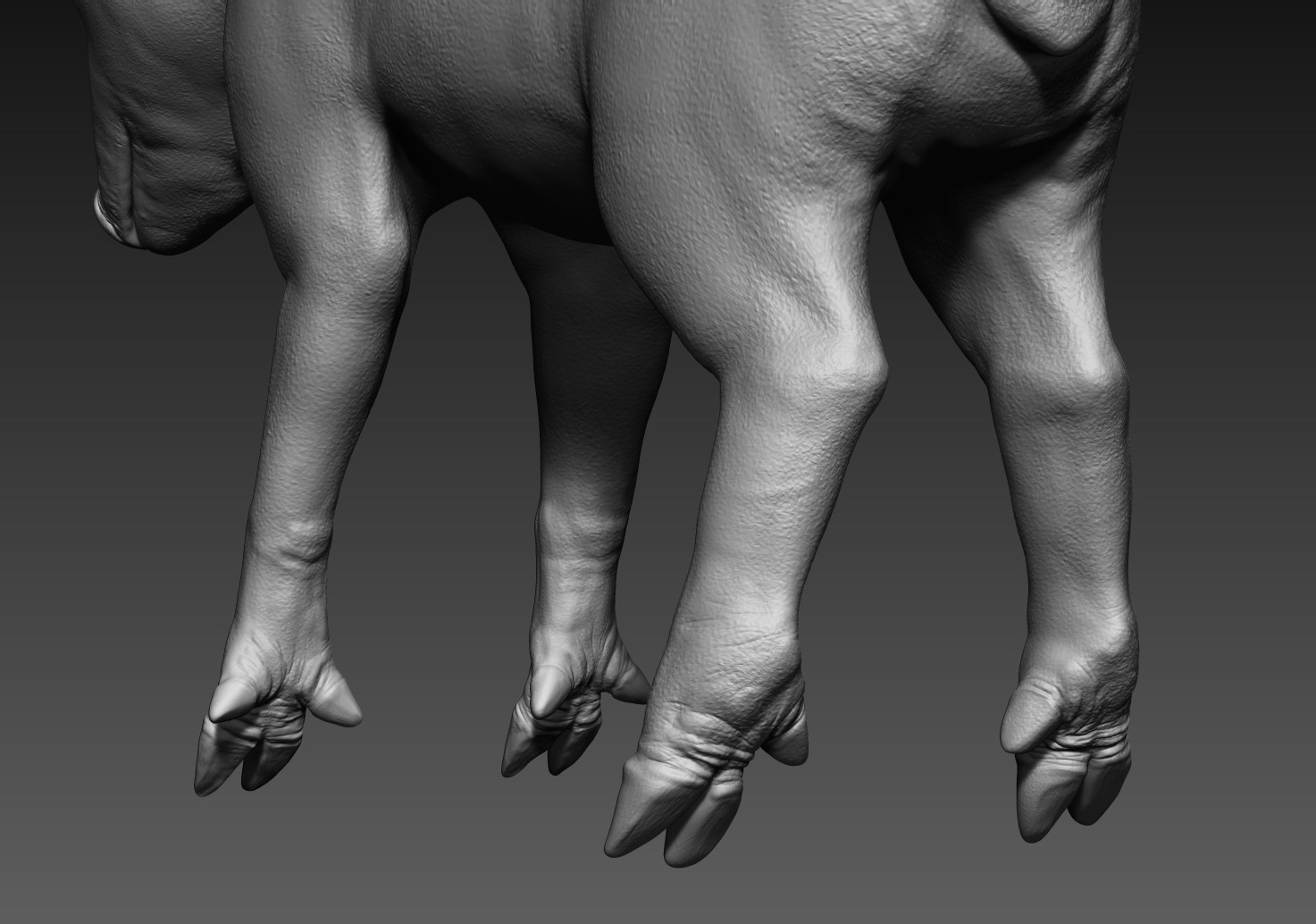 Walfrido Monteiro - Queixada (tayassu pecari)