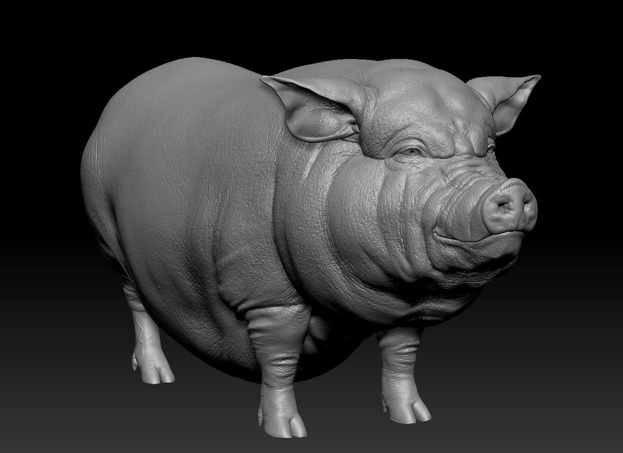 ArtStation - Pig