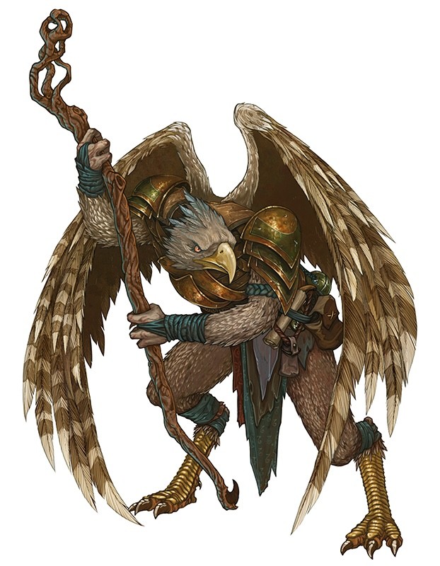 ArtStation - Dungeons & Dragons - Aarakocra Sorcerer