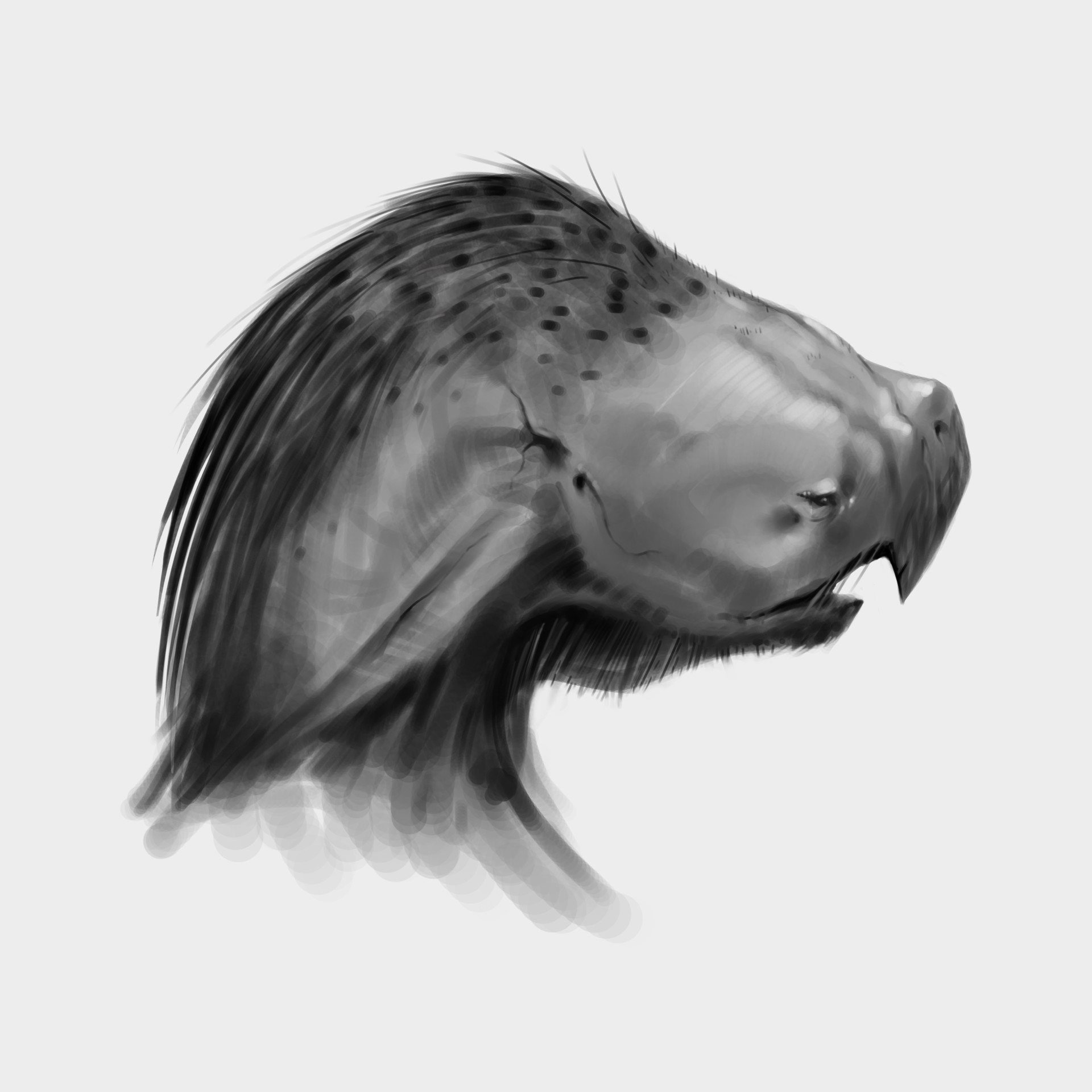 ArtStation - Creature Sketches