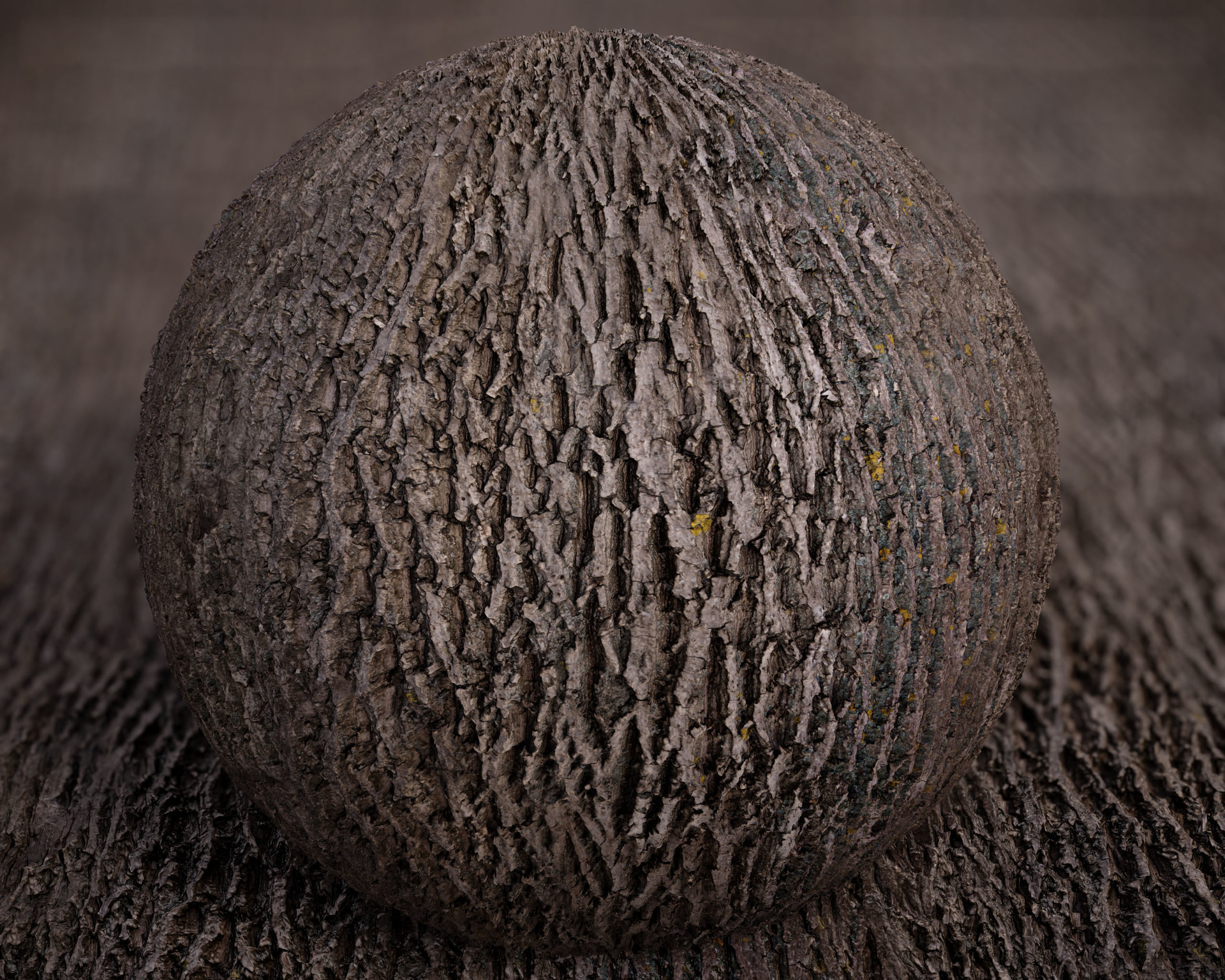 ArtStation - Bark Tree - Photogrammetry Texture