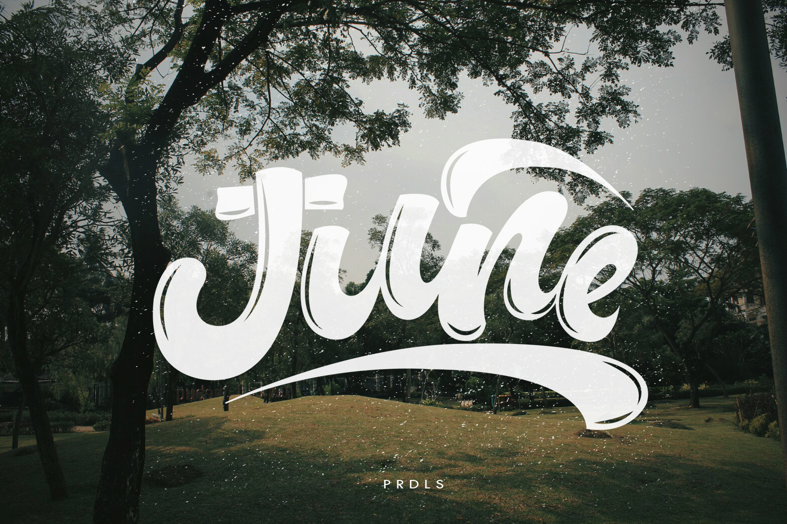 ArtStation - June Lettering