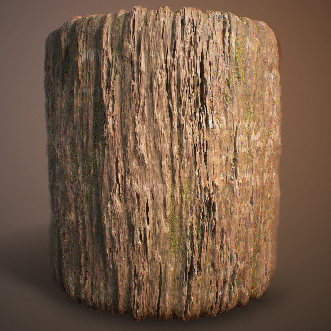 ArtStation - Prehistoric tree textures, Nikolay Bonev