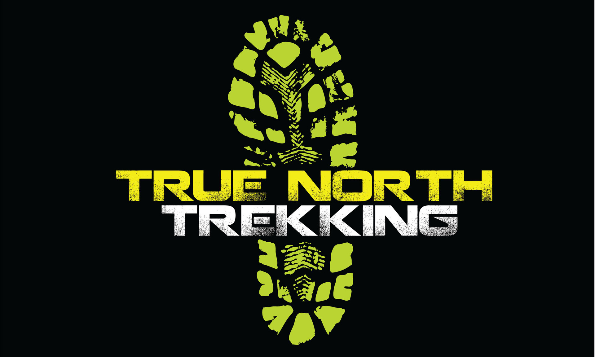 ArtStation - True North Trekking
