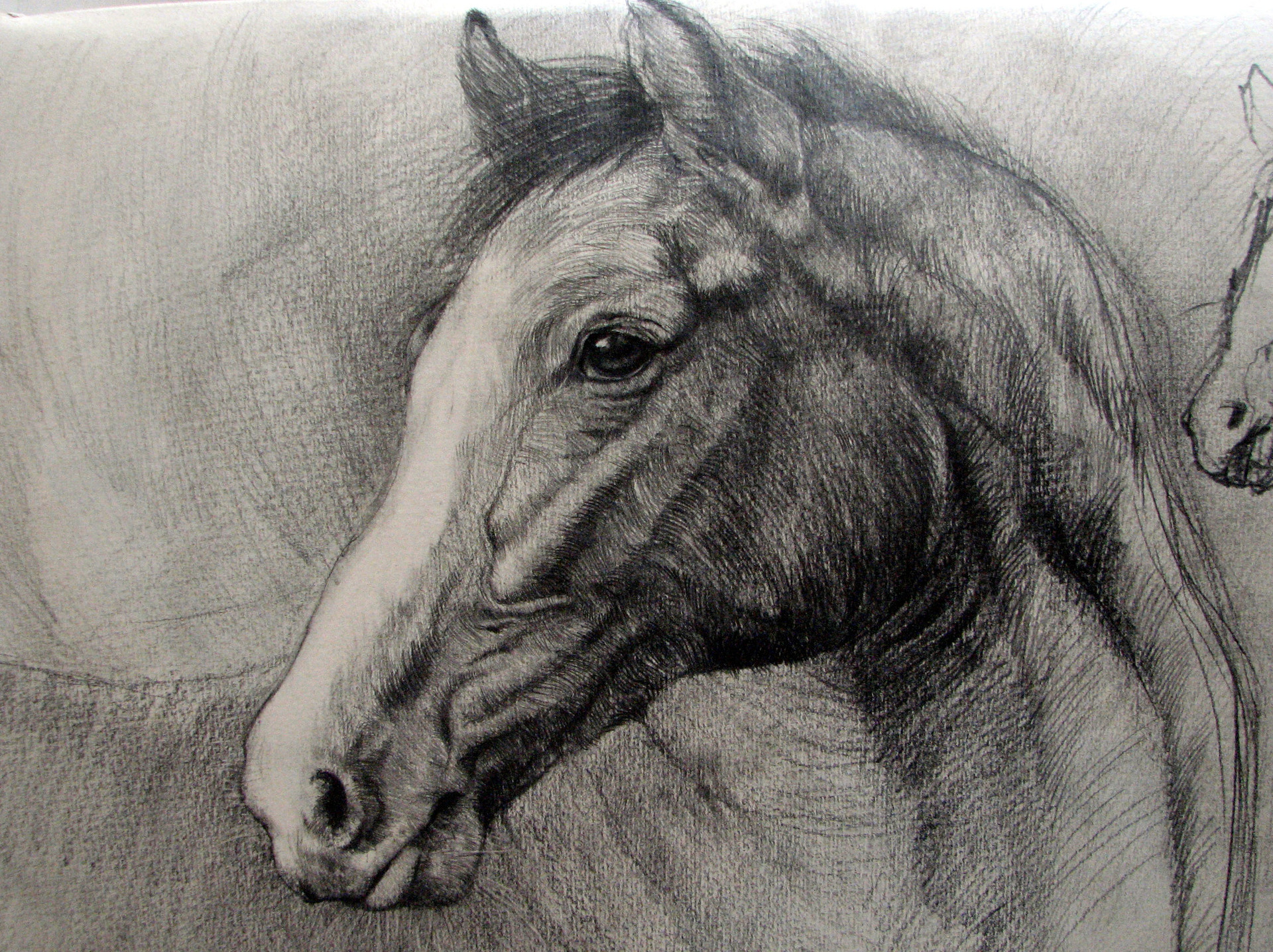 ArtStation - Drawings (traditional)