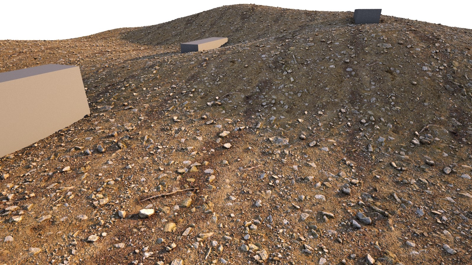 ArtStation - Forest ground 3d scan by photogrammetry