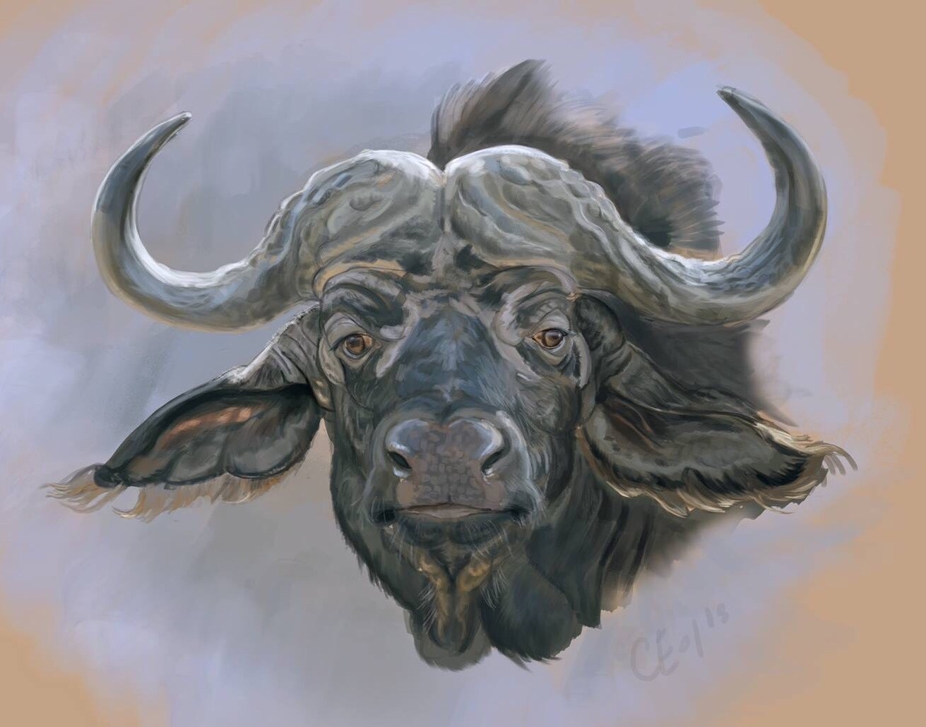 ArtStation - Cape Buffalo Study