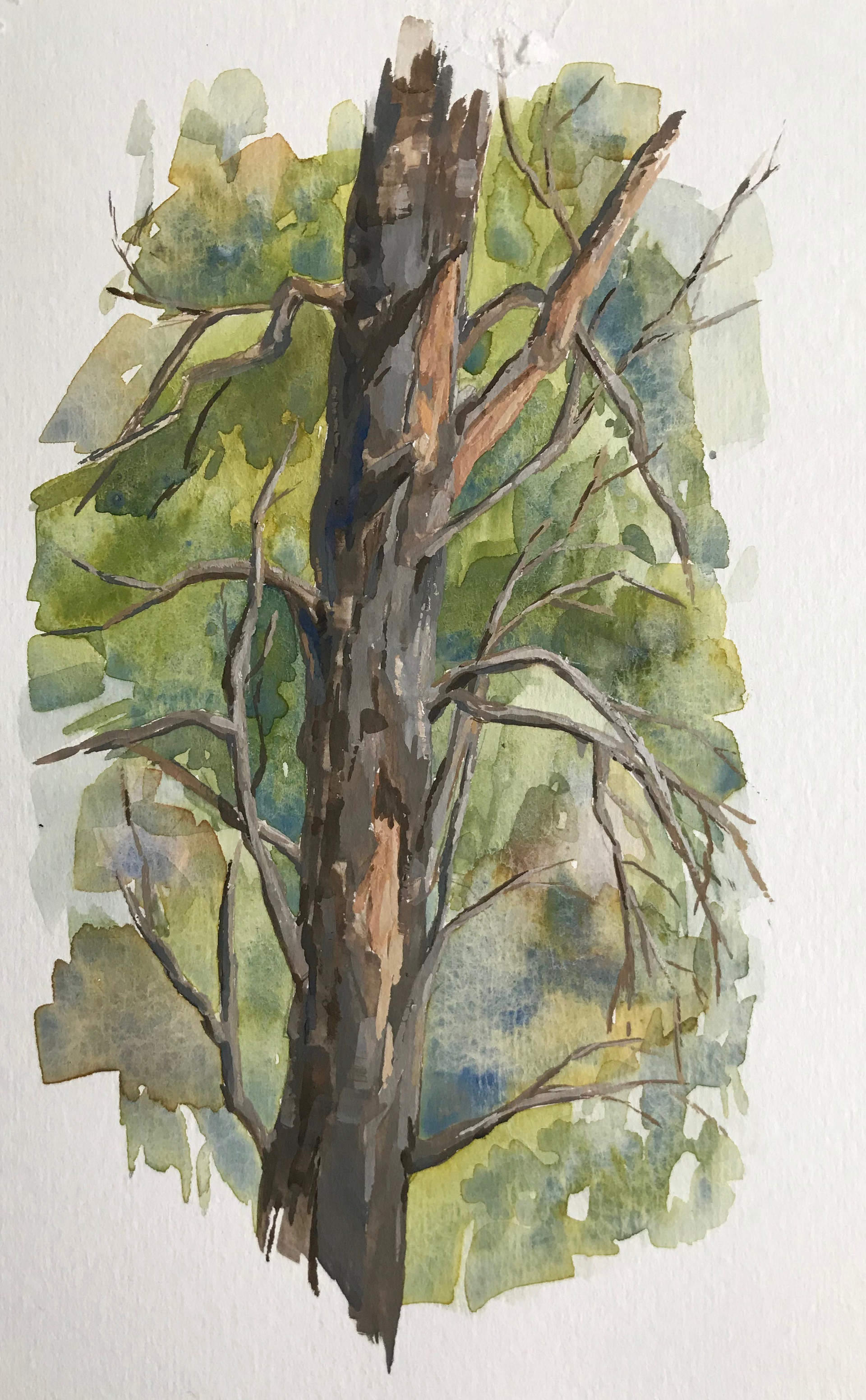 ArtStation - Plein Air Tree Study