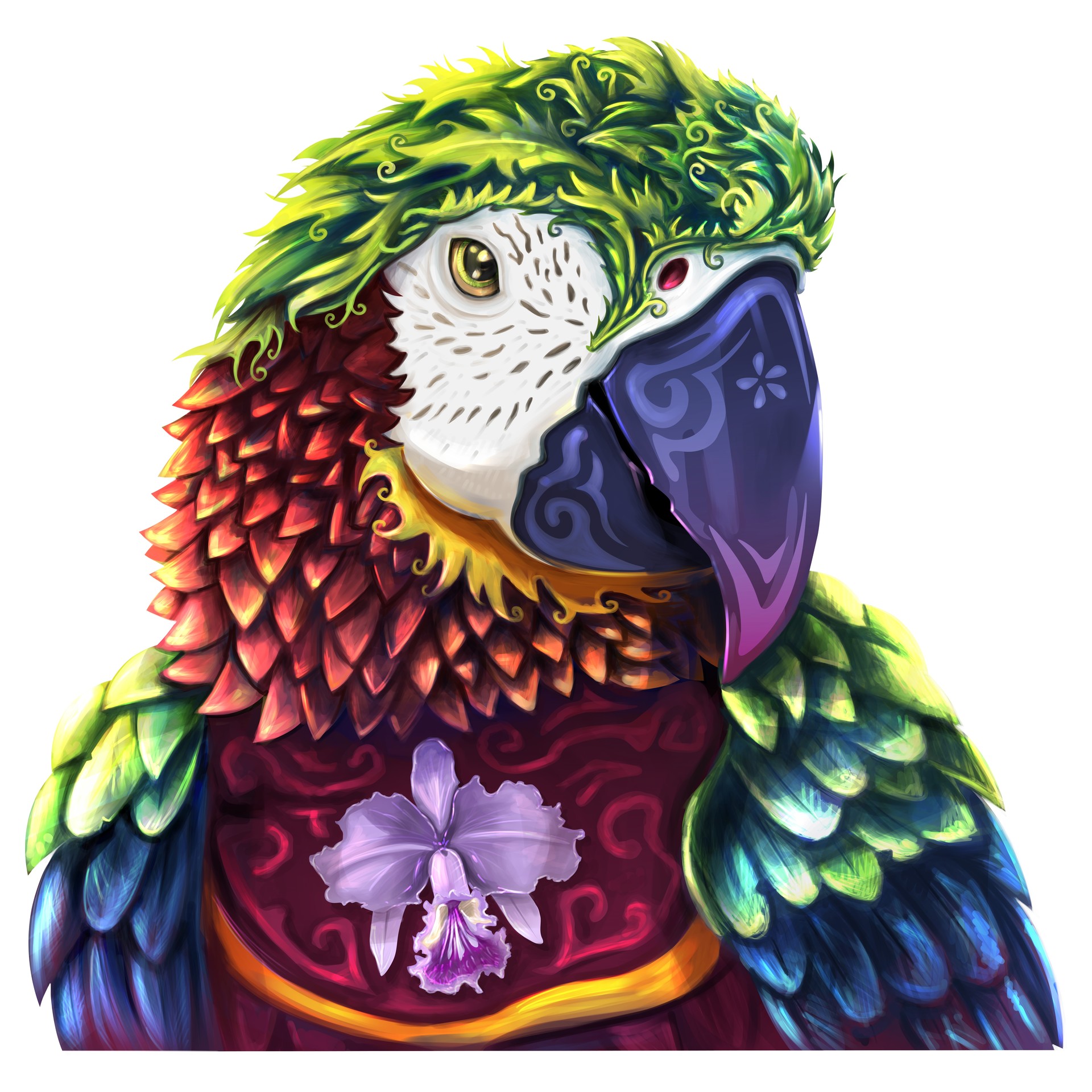 ArtStation - colourful macaw