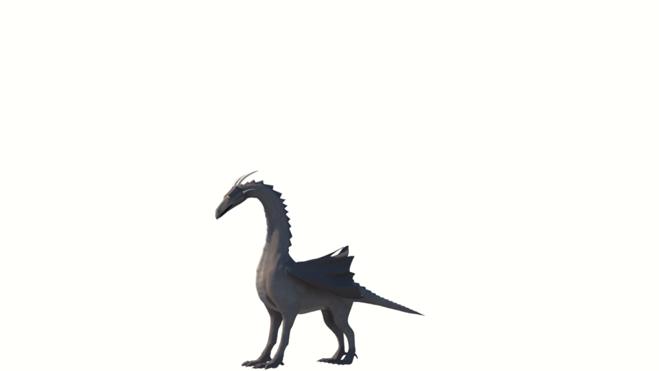 doragon animations