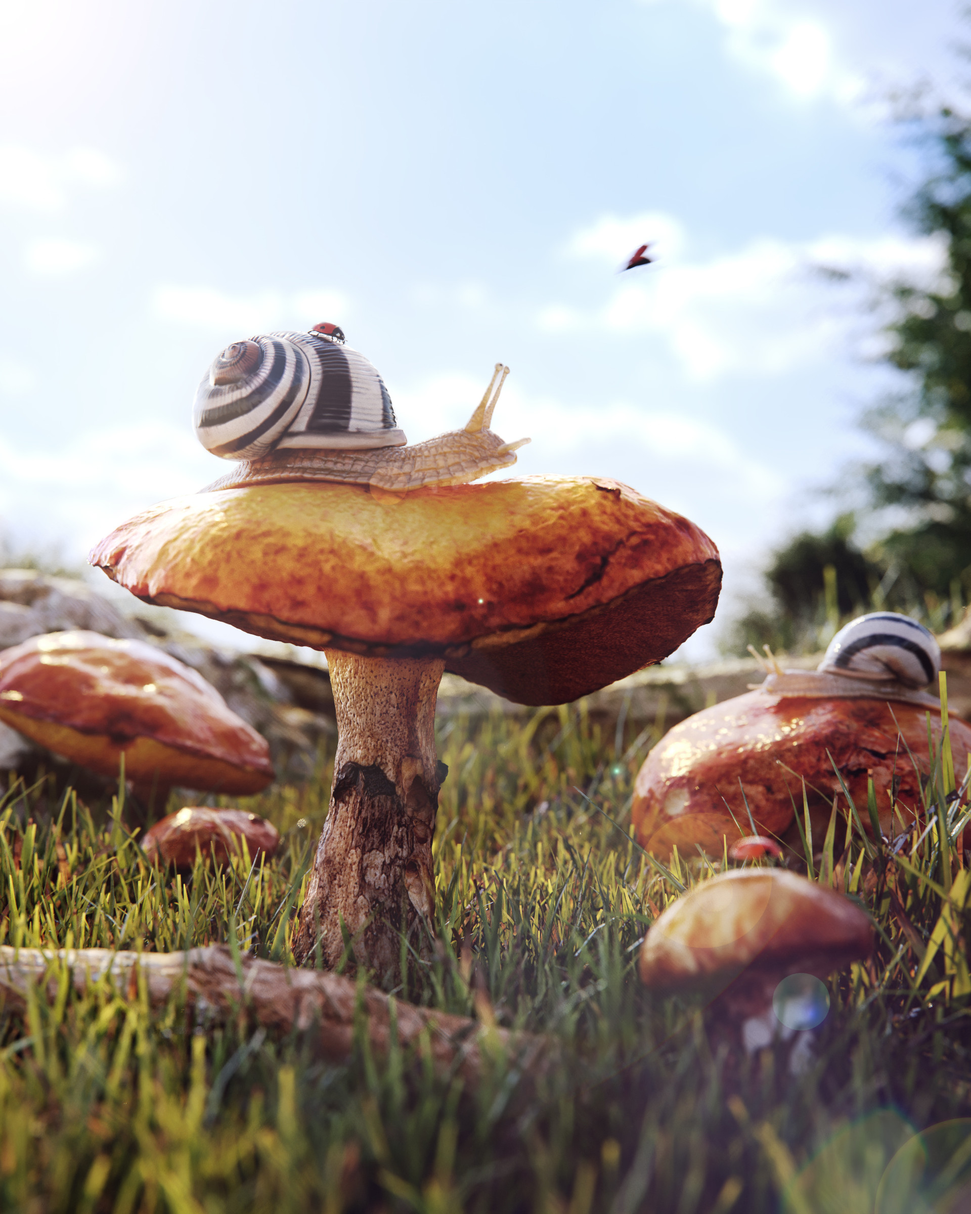 ArtStation - SNAIL'S LIFE