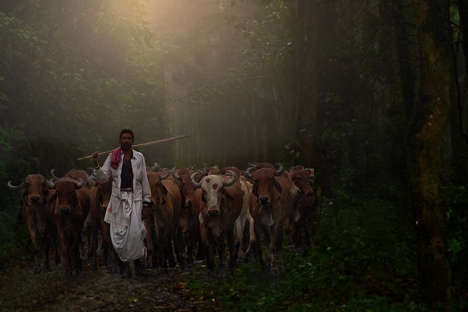 ArtStation - Maldhari