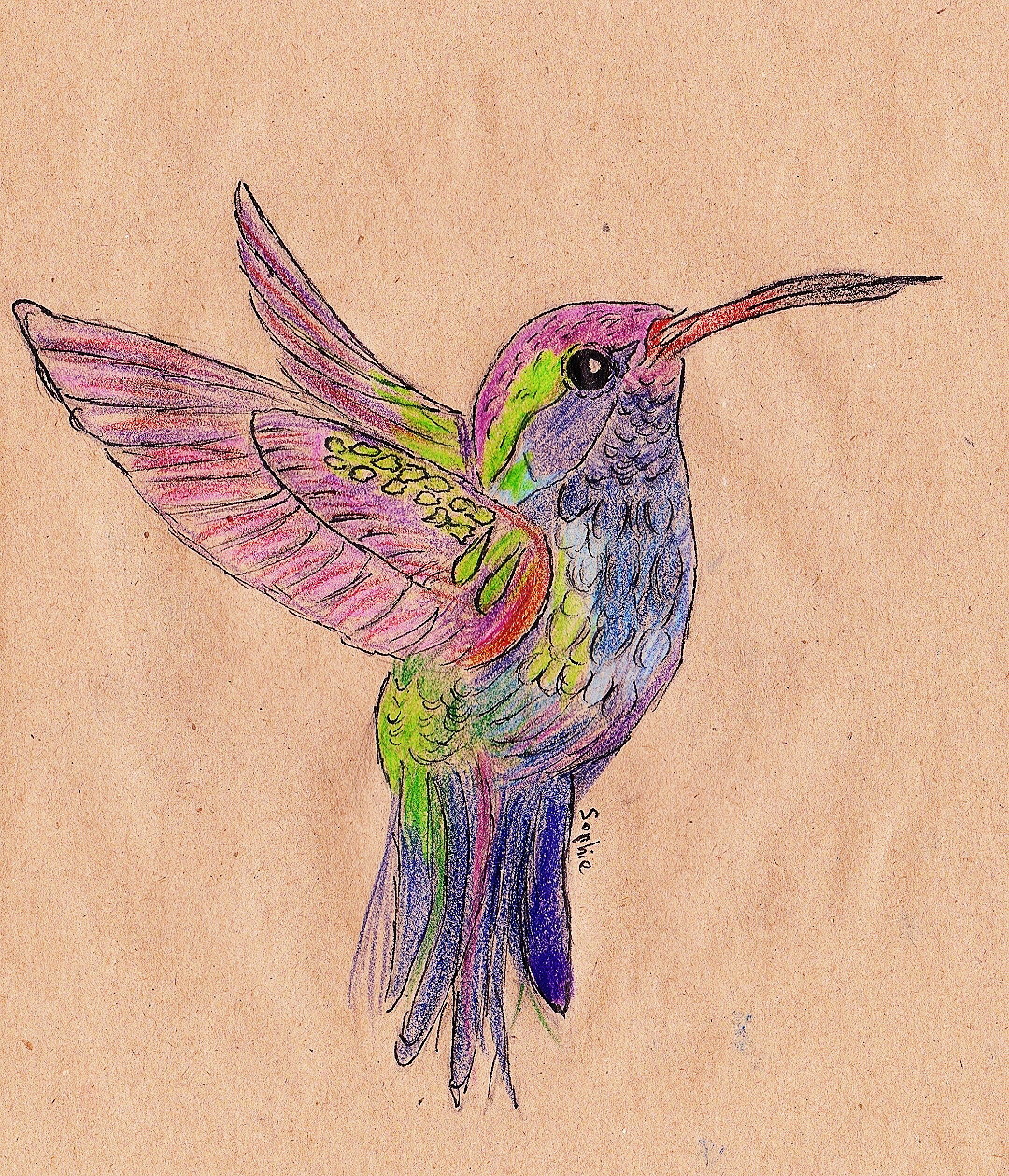 ArtStation - Le Colibri