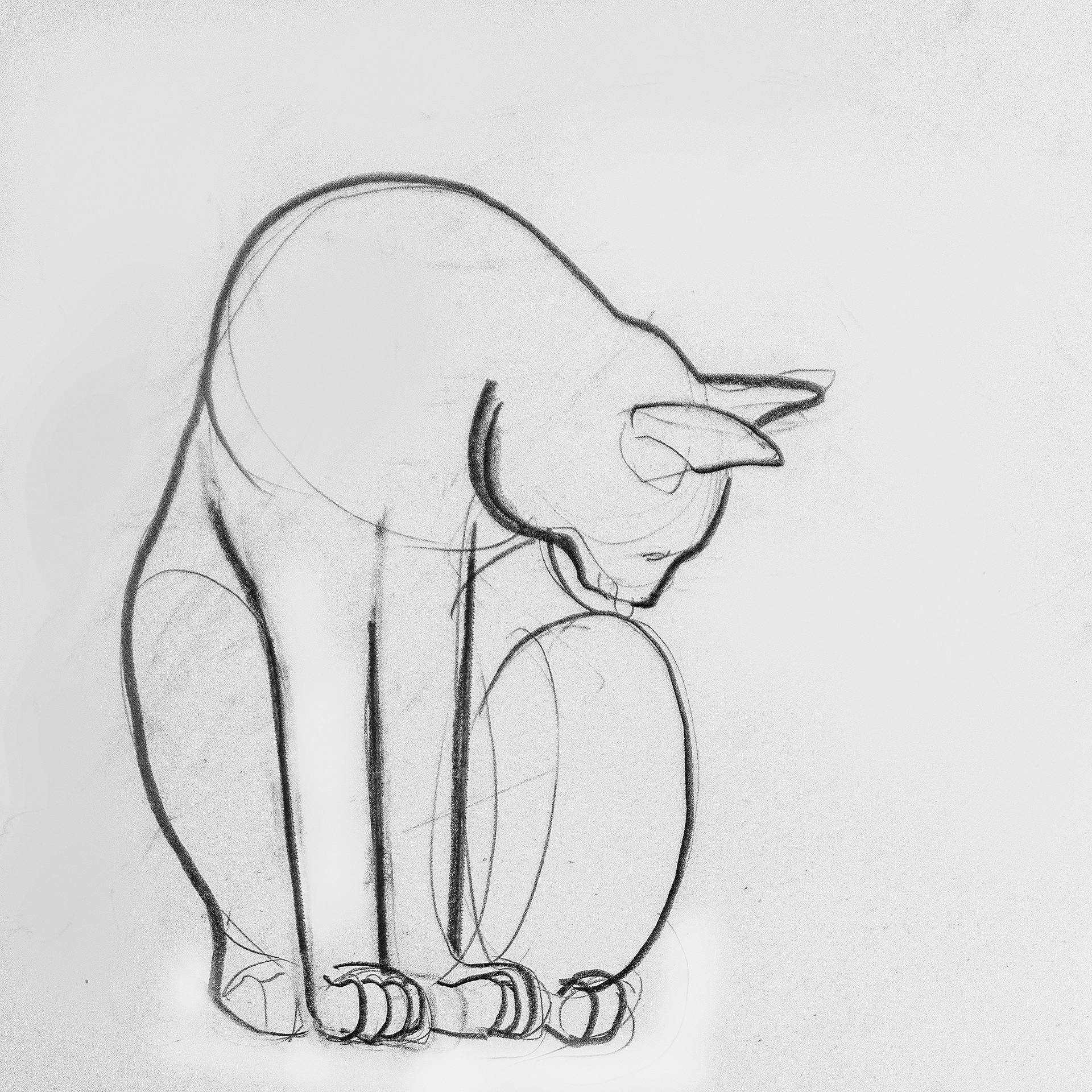 ArtStation - Linear cat