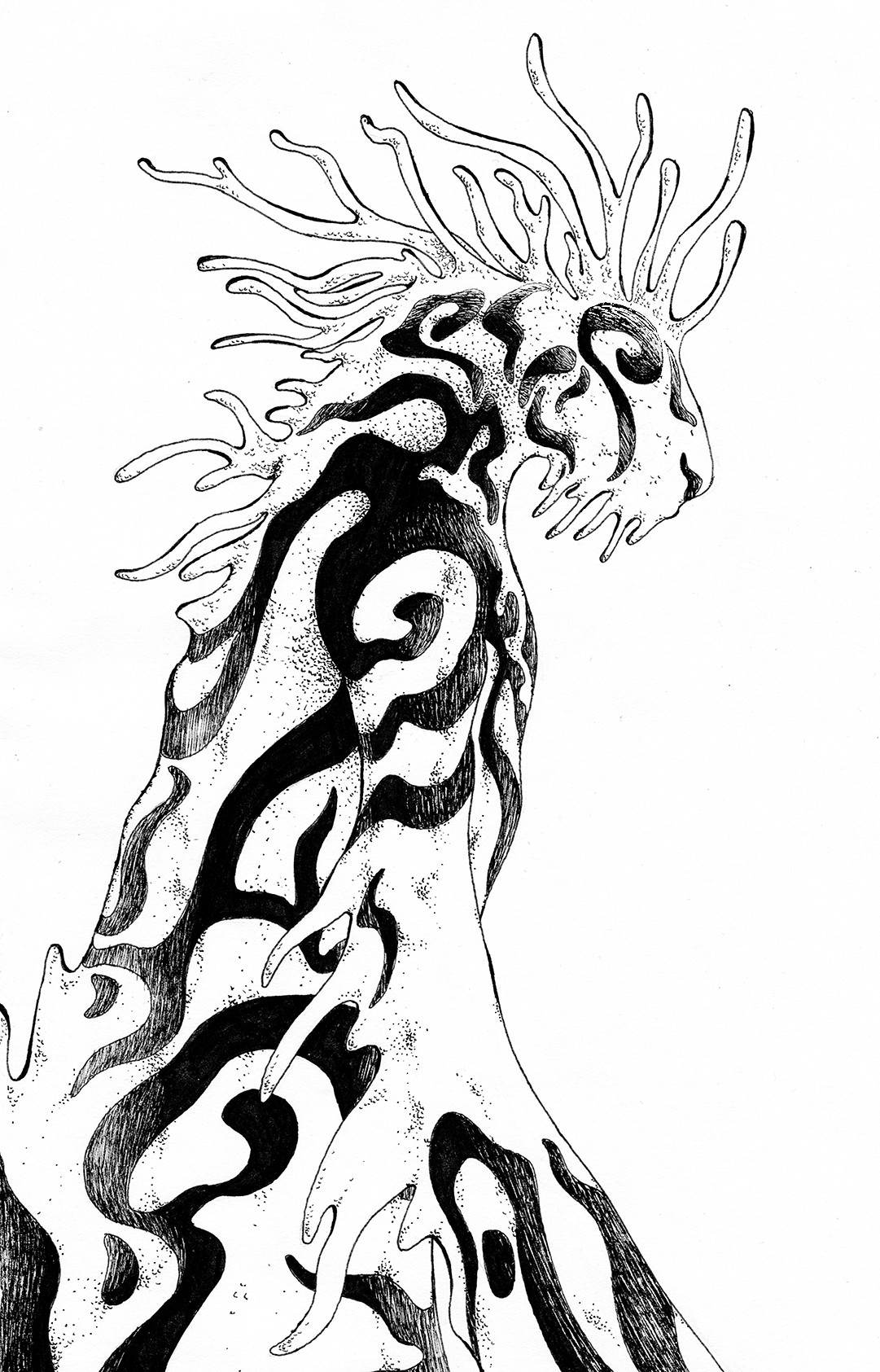 Alastair Parkin - Pen and ink drawings