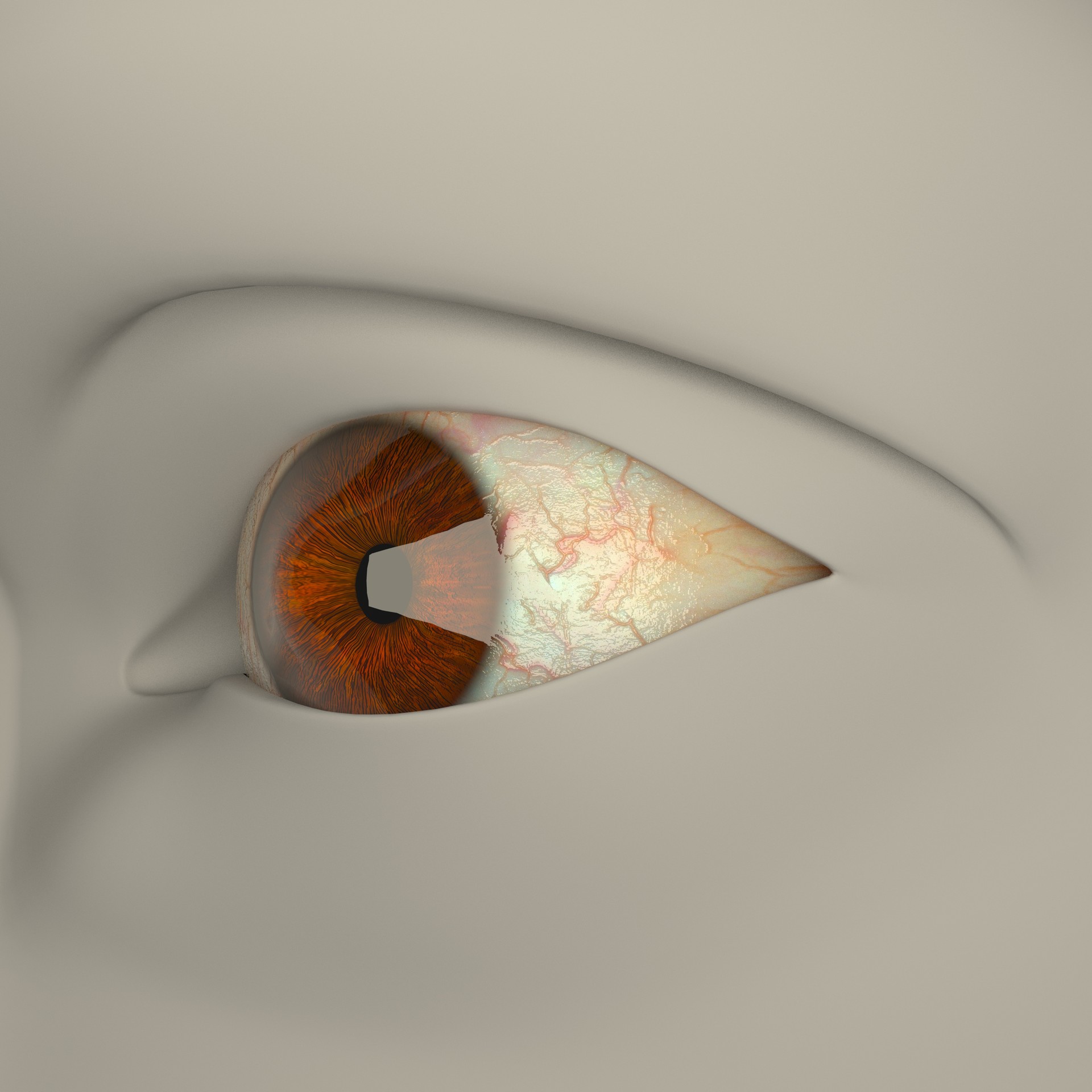 ArtStation - Simlpy_eye