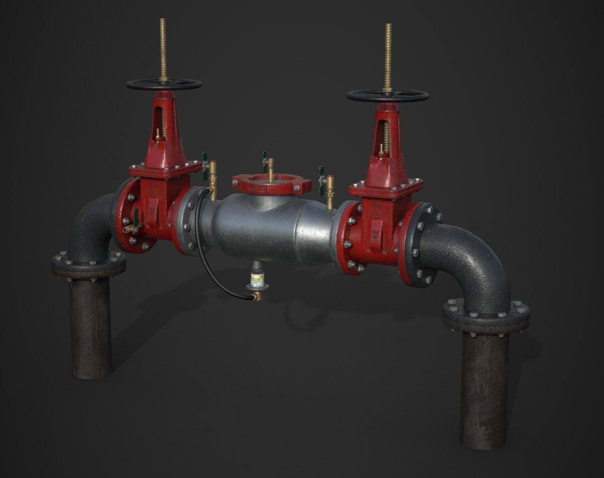 Galina Denizhenko - Backflow prevention device