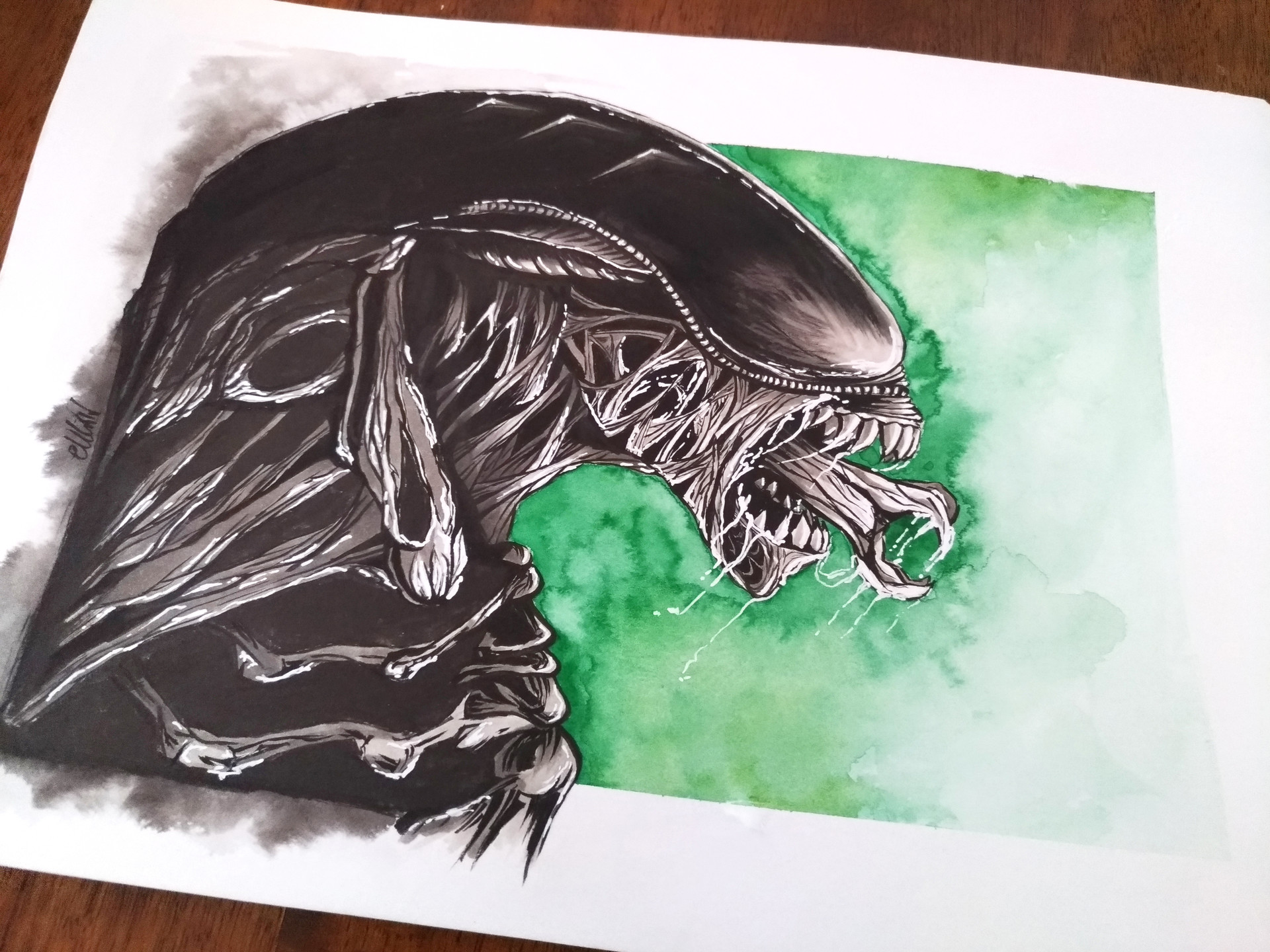 Mikv - Alien VS Predator fanart