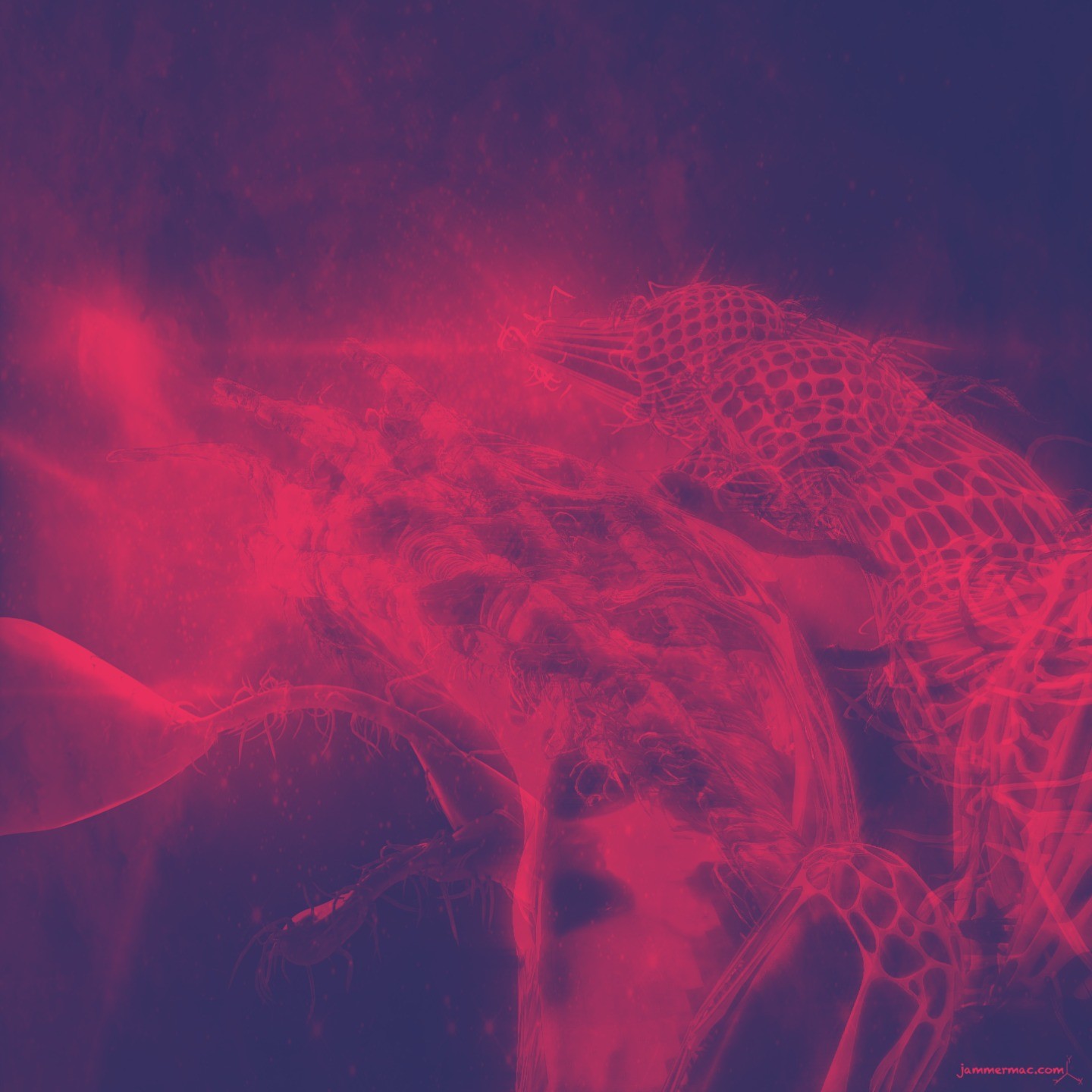 jamie robertson - dreamcatcher