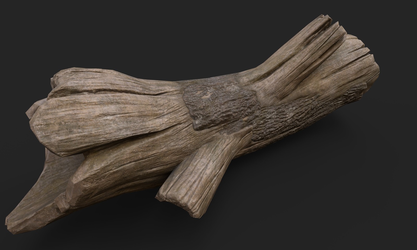 Binod Rawat - old wood branch