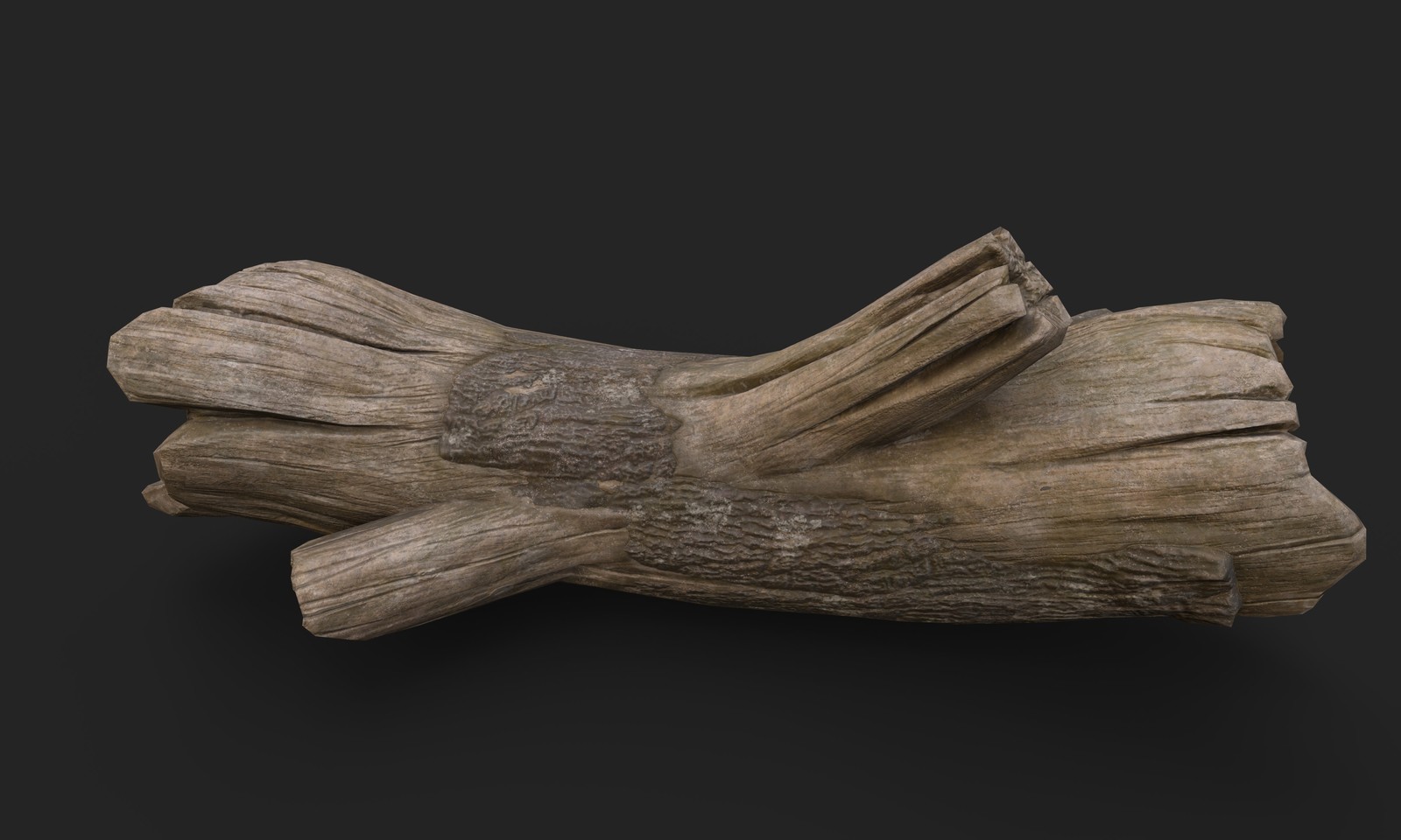 Binod Rawat - old wood branch