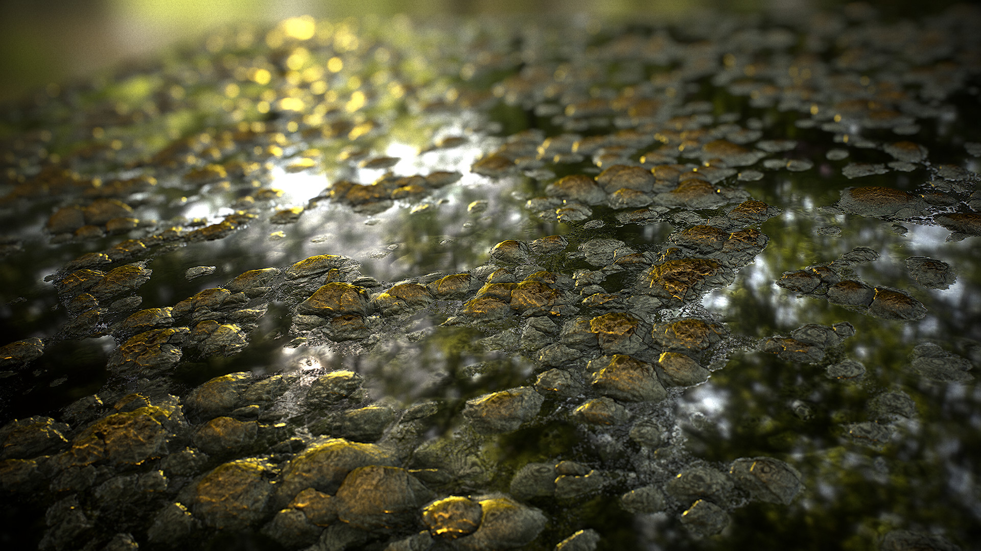 ArtStation - Wet rocks and water - Substance Designer procedural material