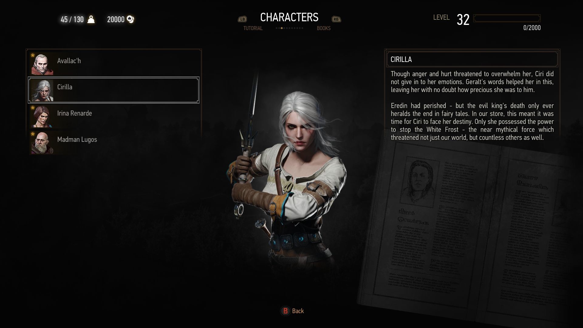 Dan Voinescu - Witcher 3 UI Redesign