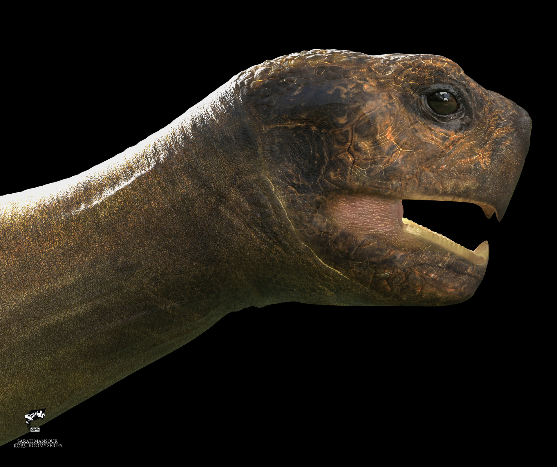 ArtStation - Turtle_Head