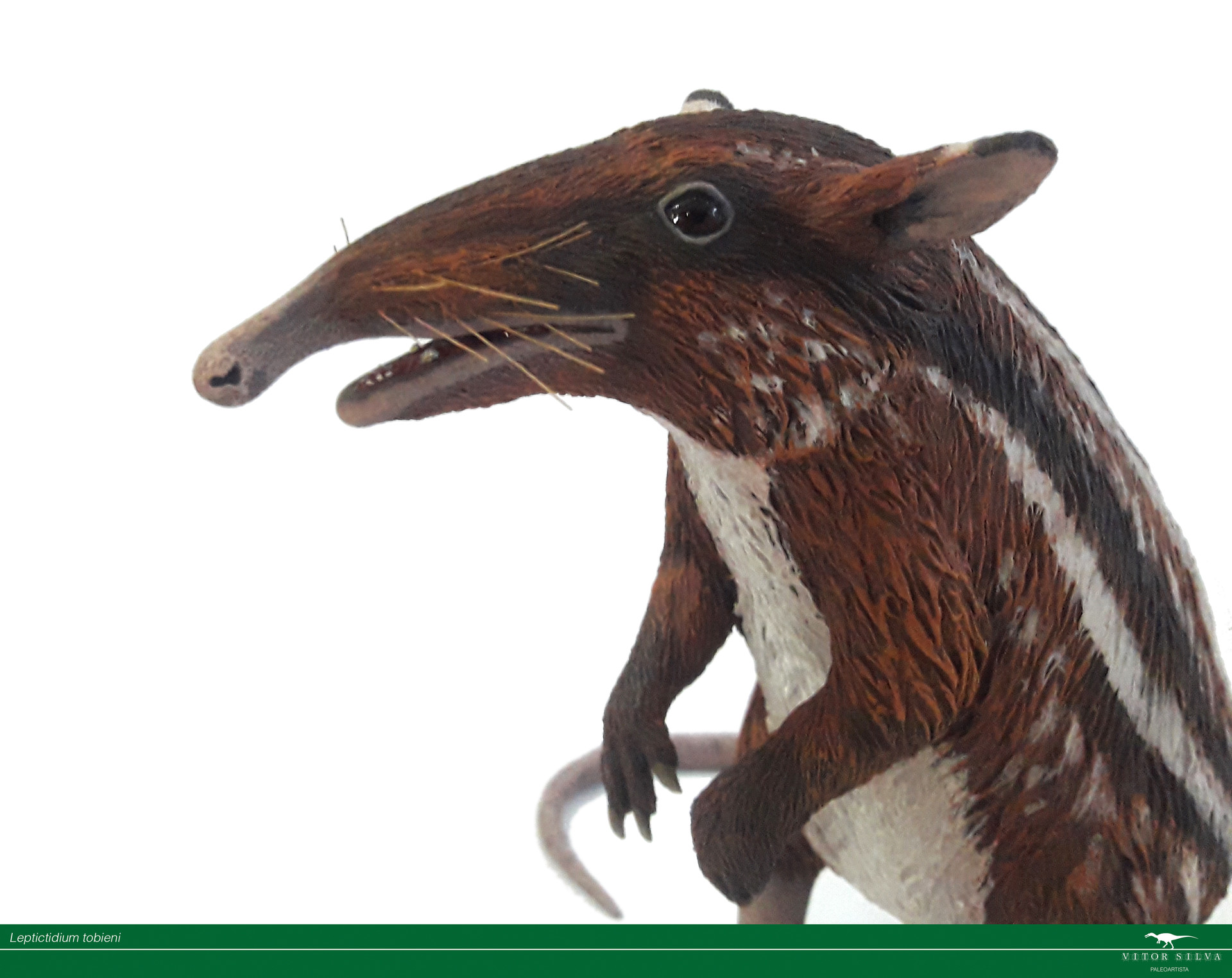 Vitor Silva - Leptictidium