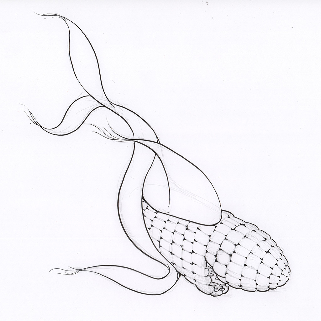 corn snake line drawing