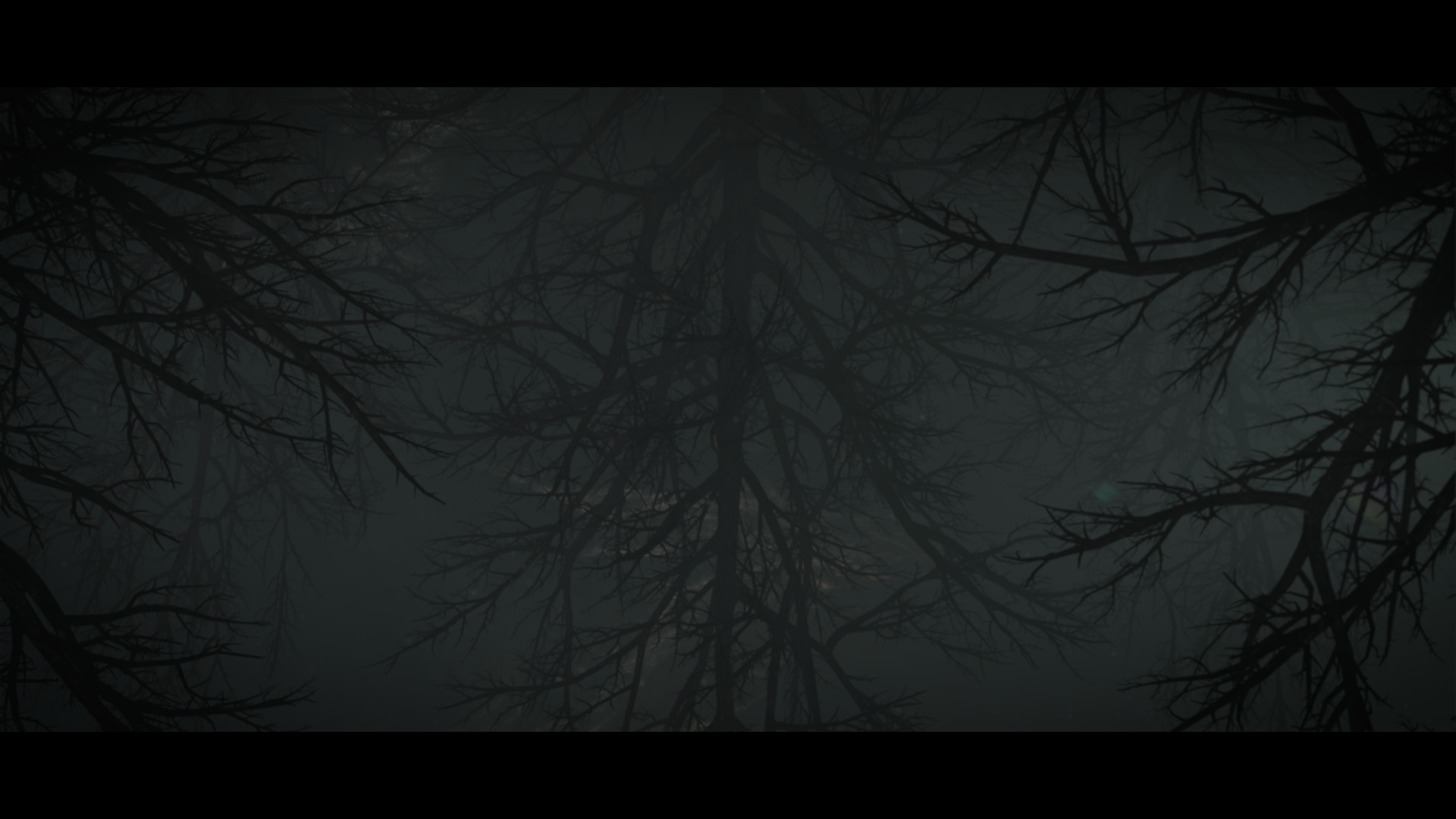 Gregorio Flores Mendieta - Valle Enigma - CG Challenge