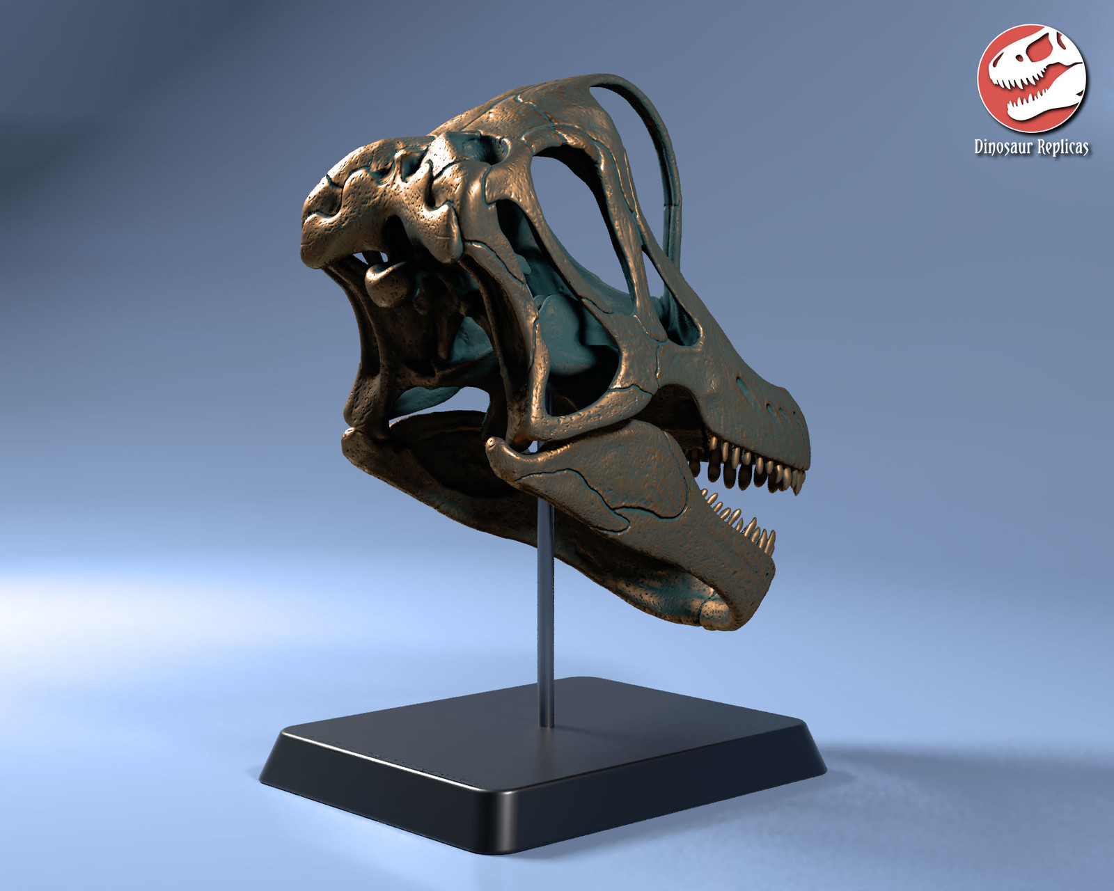 DinoReplicas - 3D Model Works - Dinosaur scale model skull - Giraffatitan