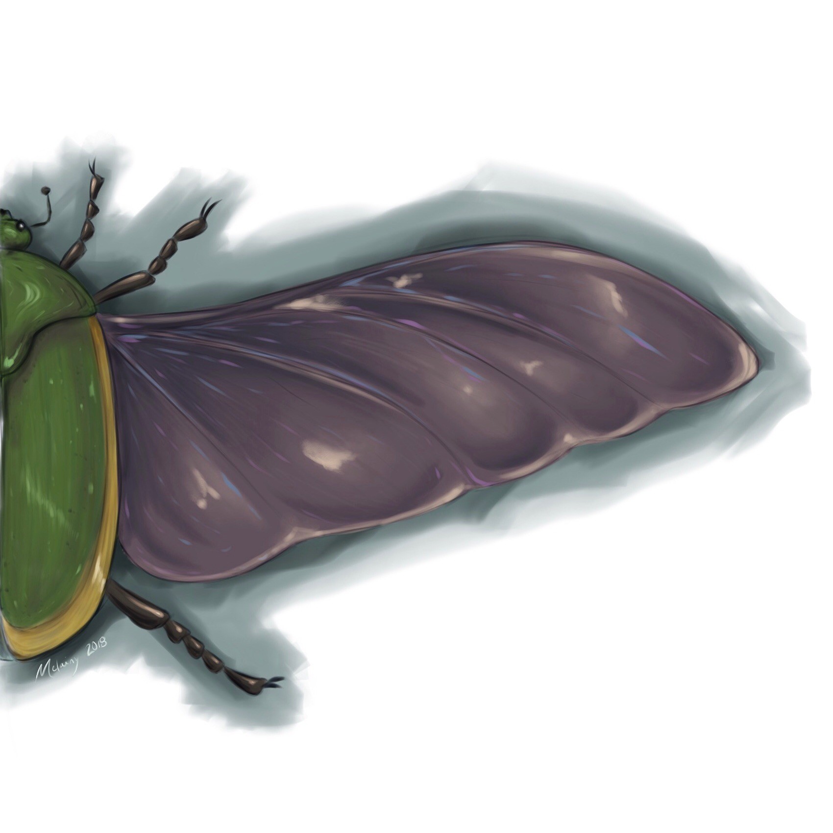 ArtStation - june beetle