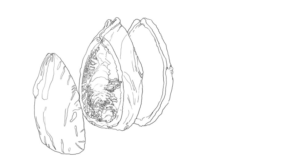 how to make a xenomorph egg