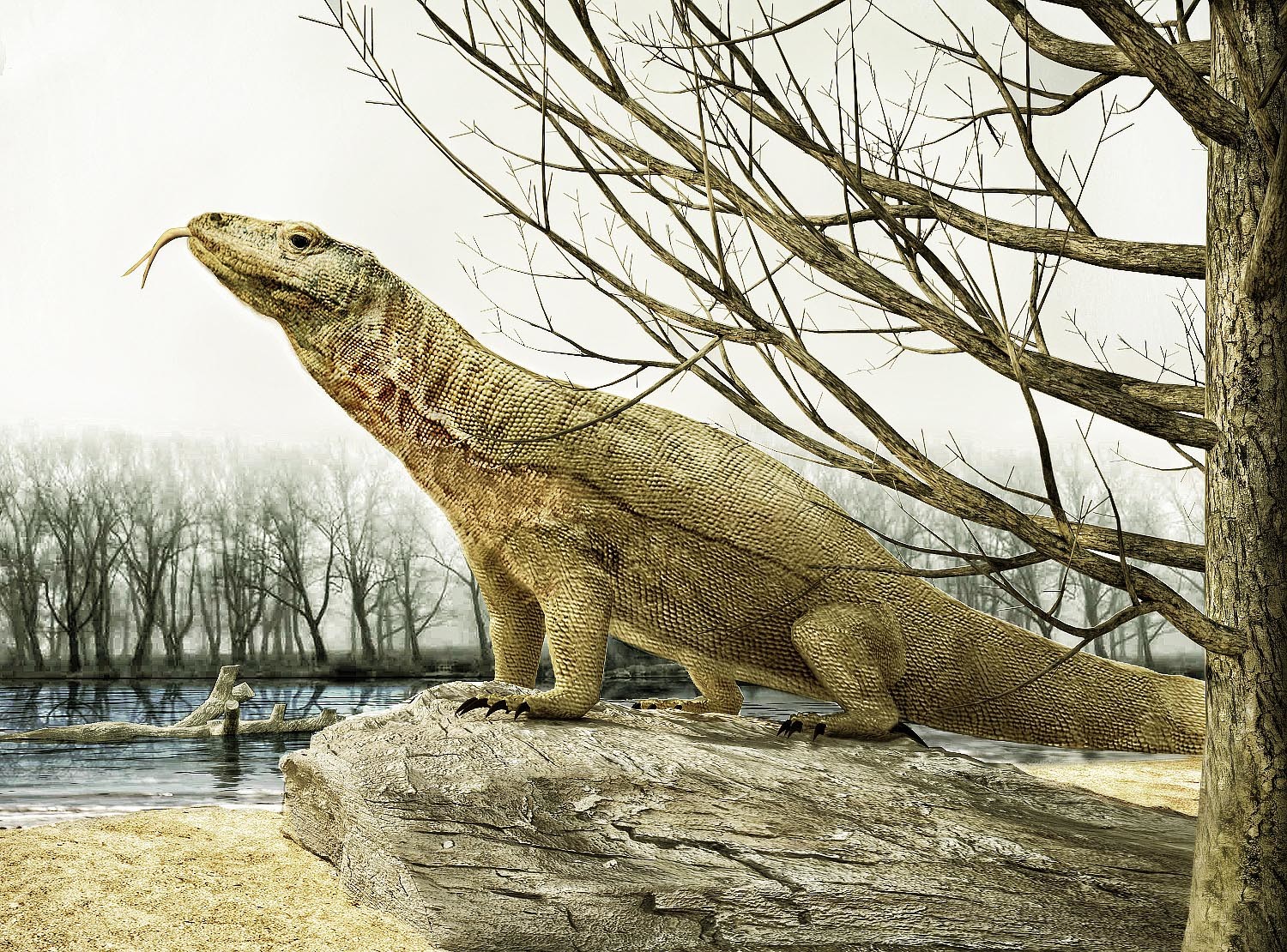 ArtStation - Komodo lizard