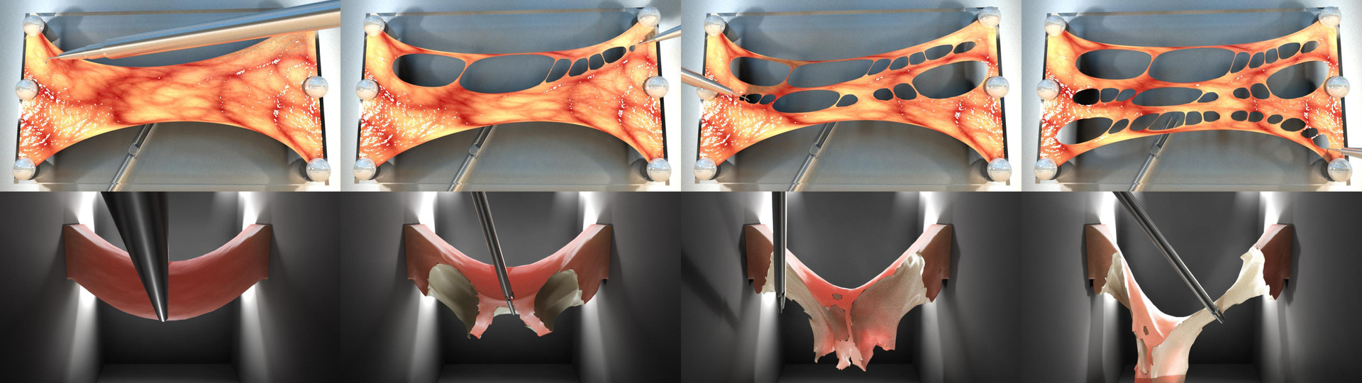 ArtStation - Soft Tissue Dissection