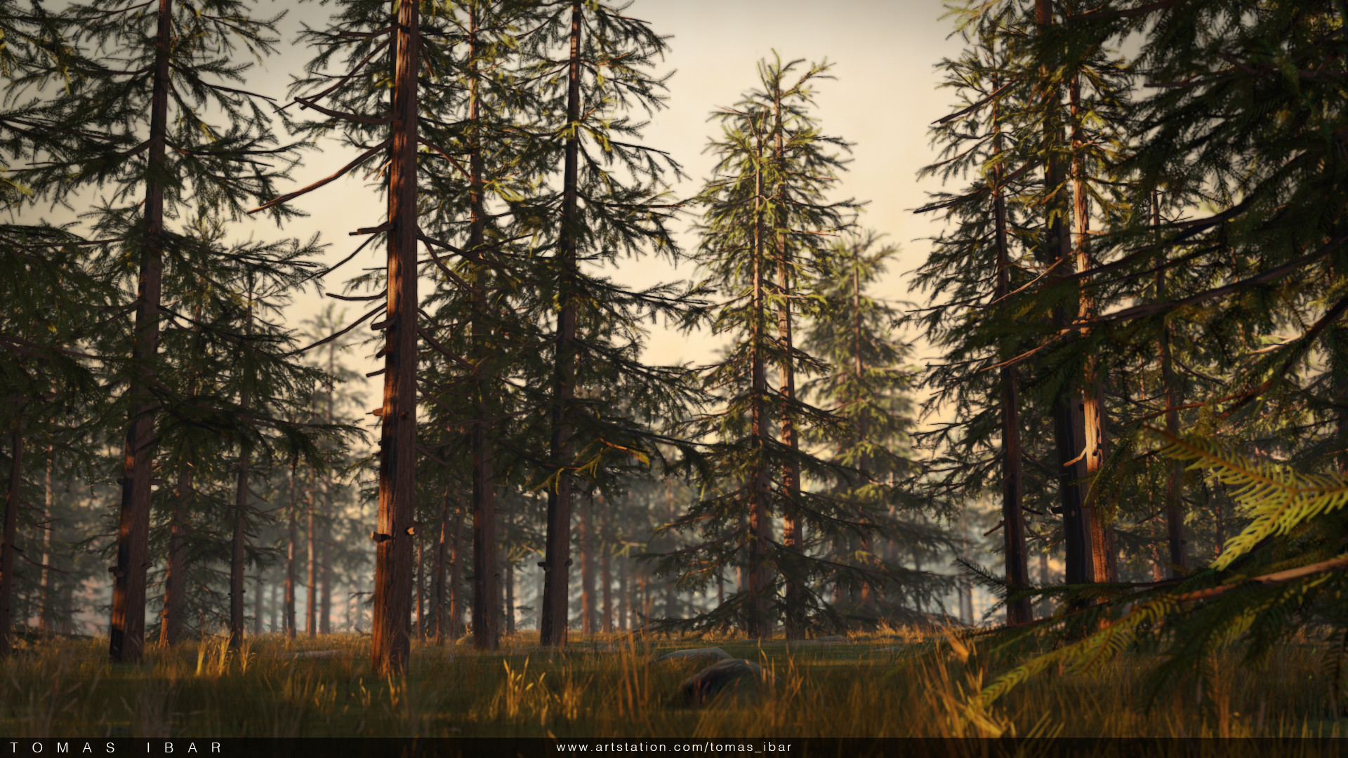 ArtStation - Pine Forest