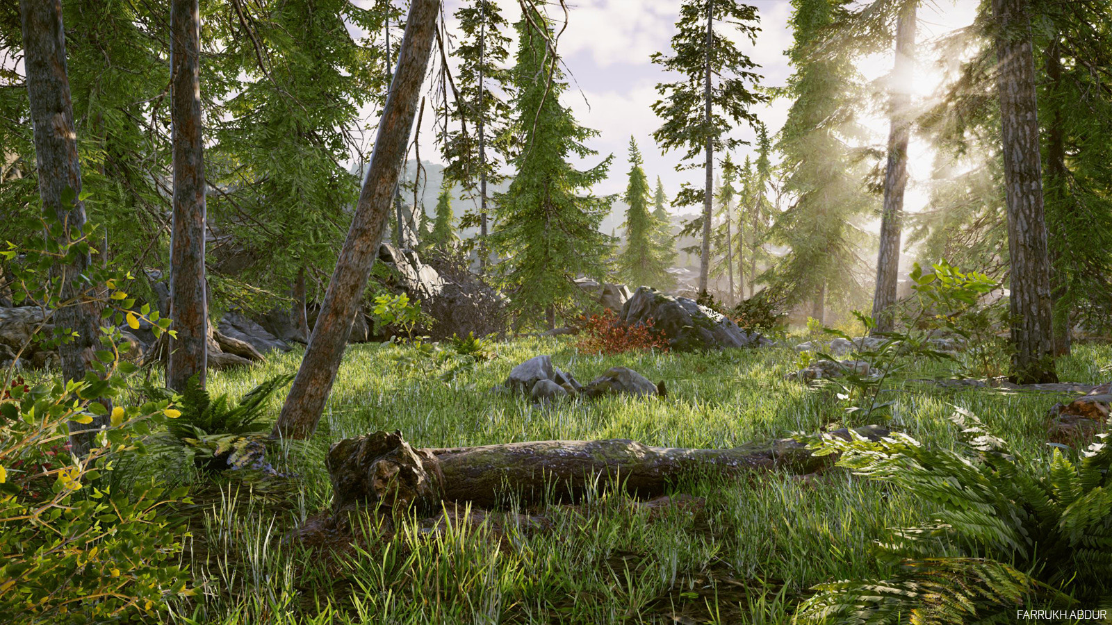 Farrukh Abdur - 3d Artist - Forest Environment - Unity 3d with Megascans