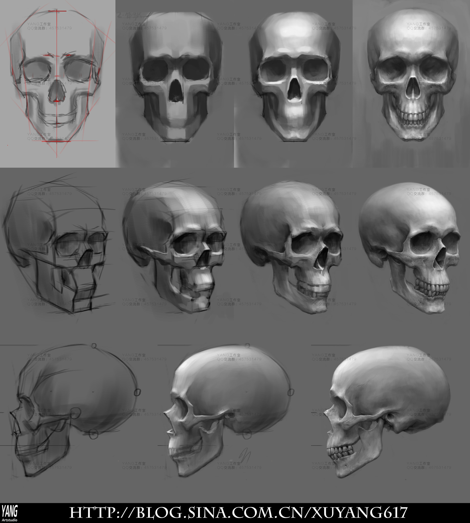 ArtStation - skull practice