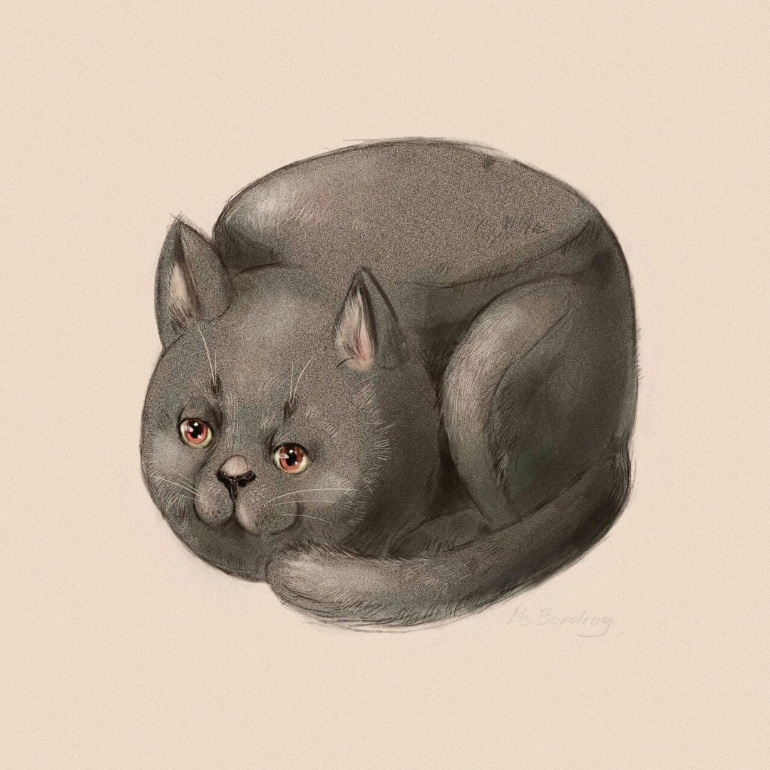 ArtStation - Cubic cat